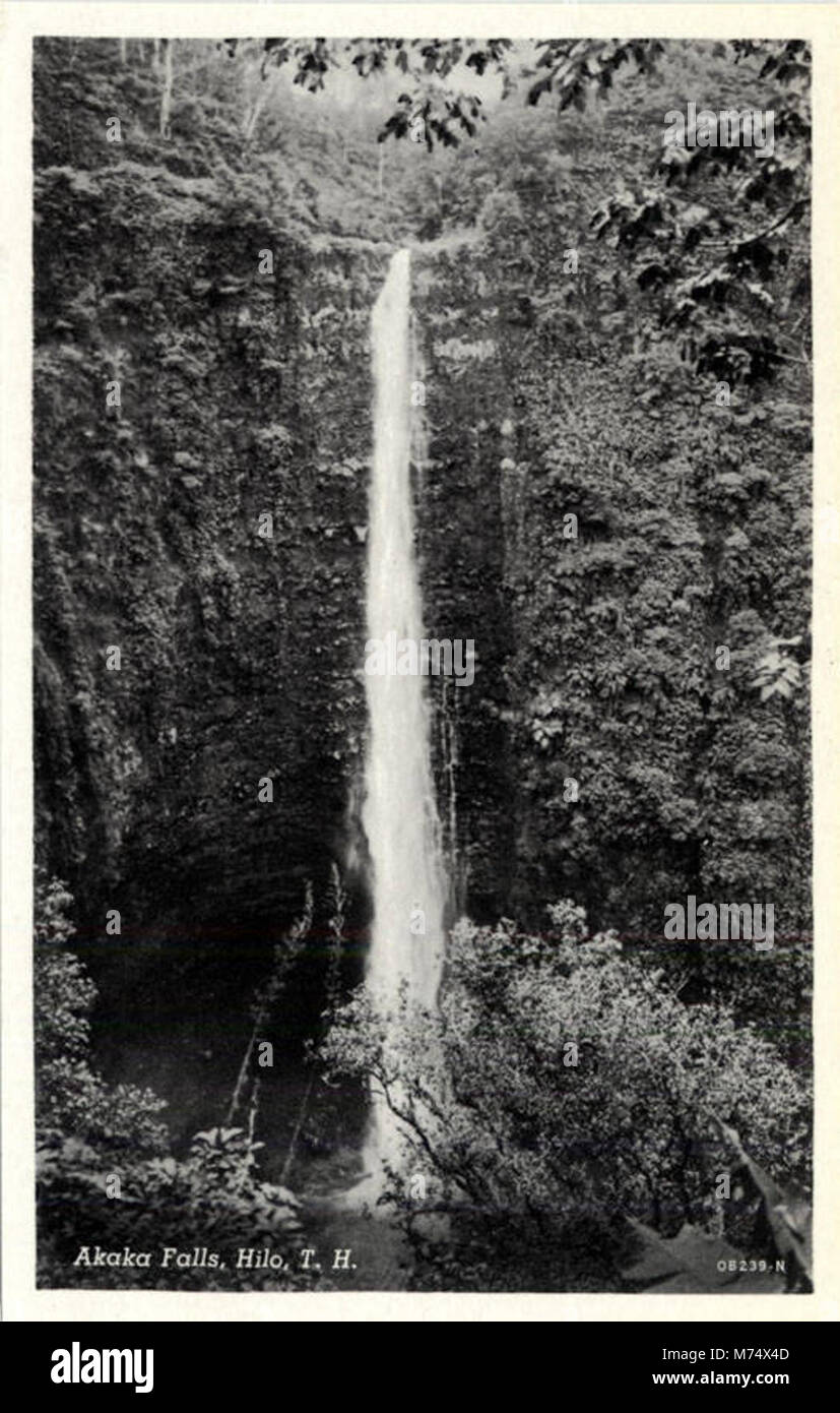 A scenic view of Akaka Falls in Hilo, Hawaii, known for its stunning ...