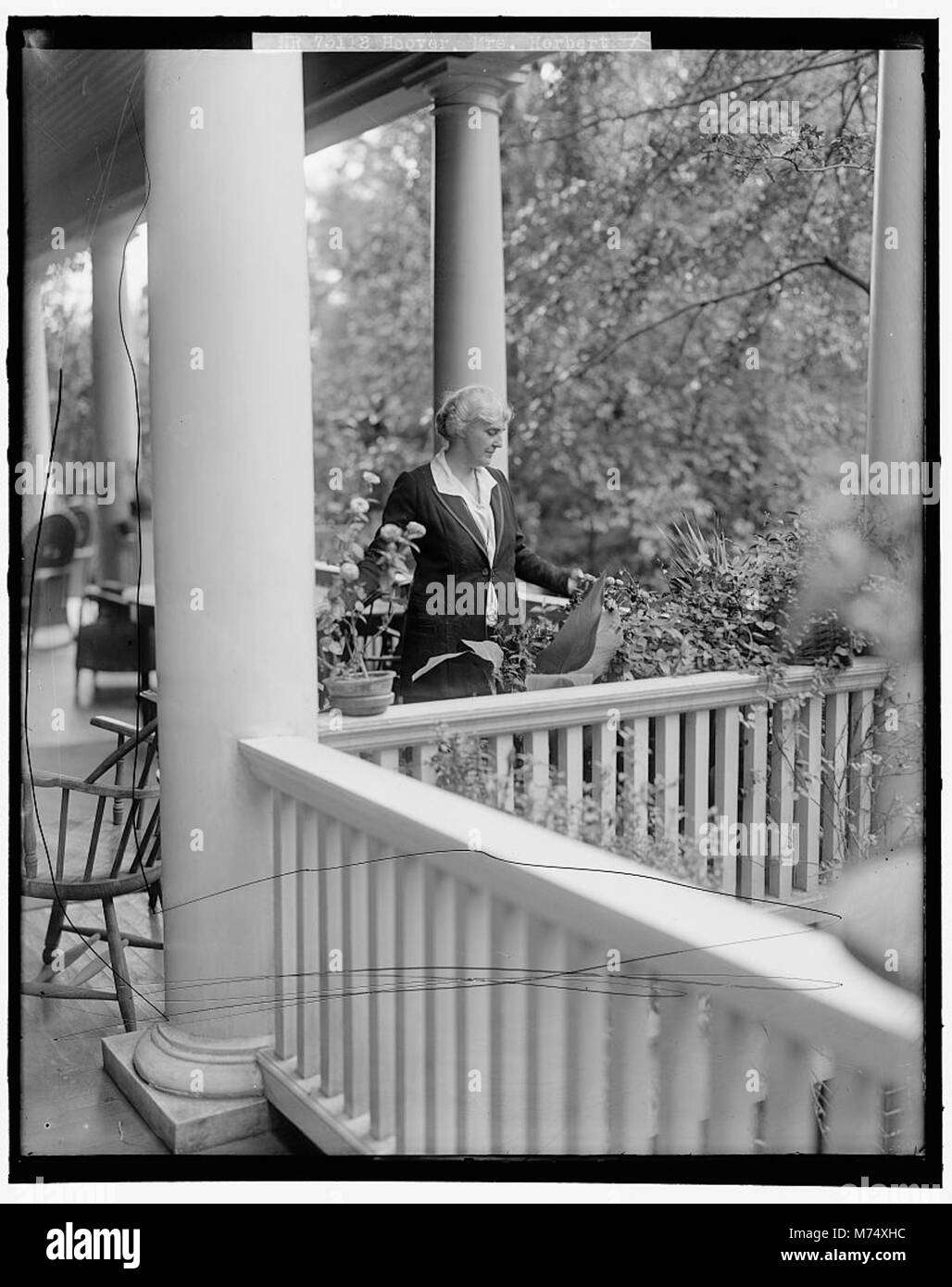 A portrait of Mrs. Herbert C. Hoover, wife of the 31st President of the ...