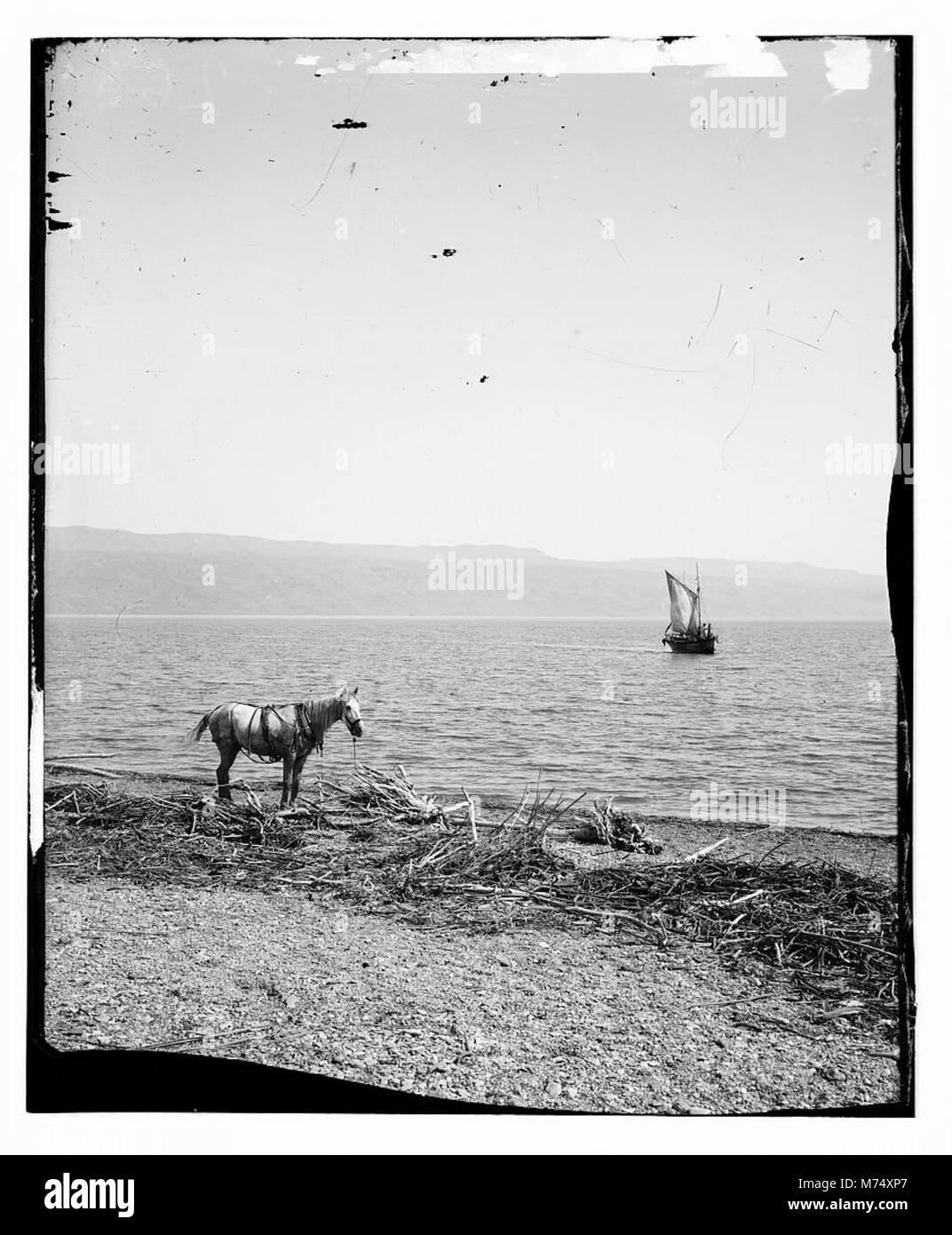 Peaceful water activity Black and White Stock Photos & Images - Alamy