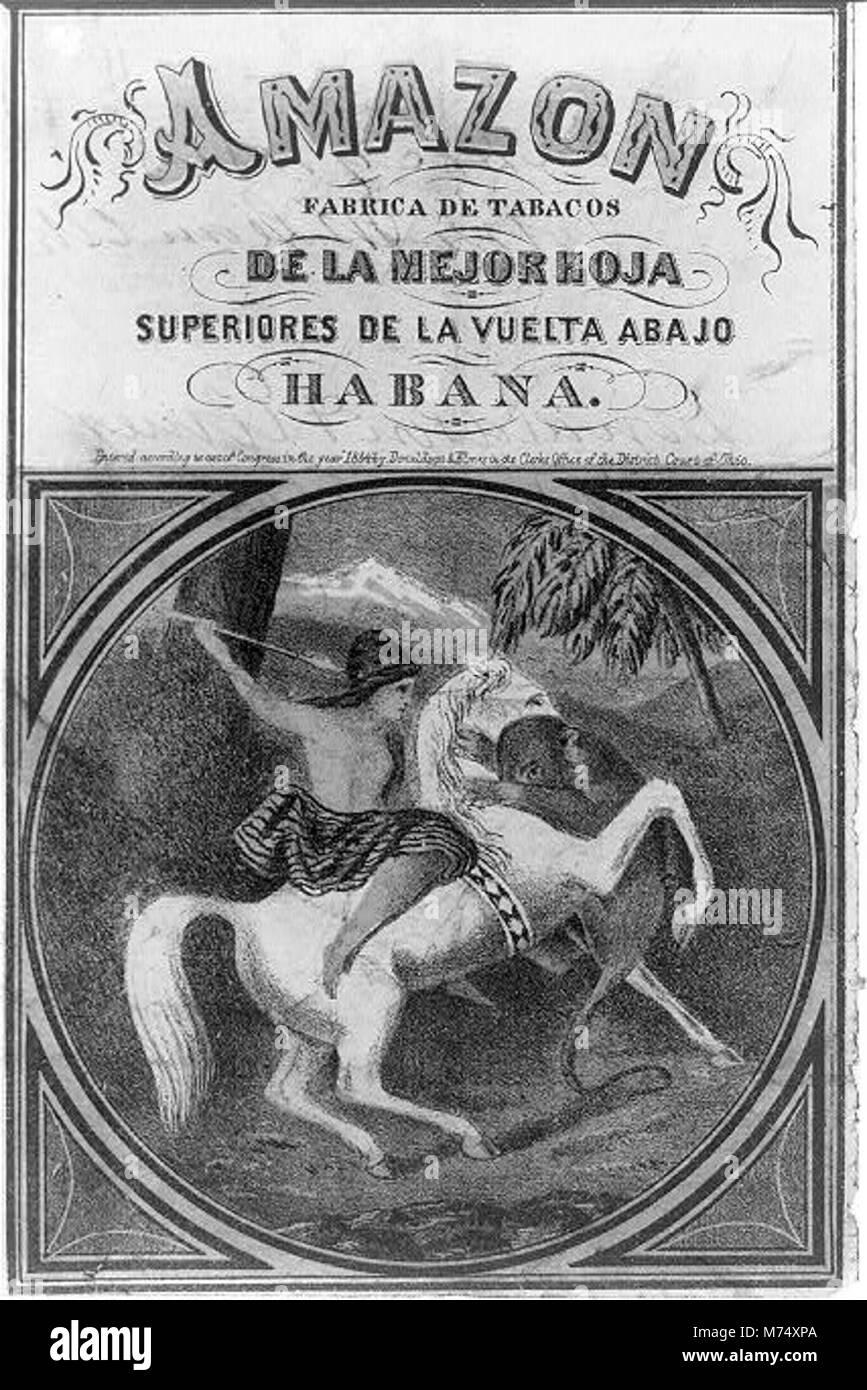 Photograph capturing the Amazon River or Amazon rainforest, focusing on ...