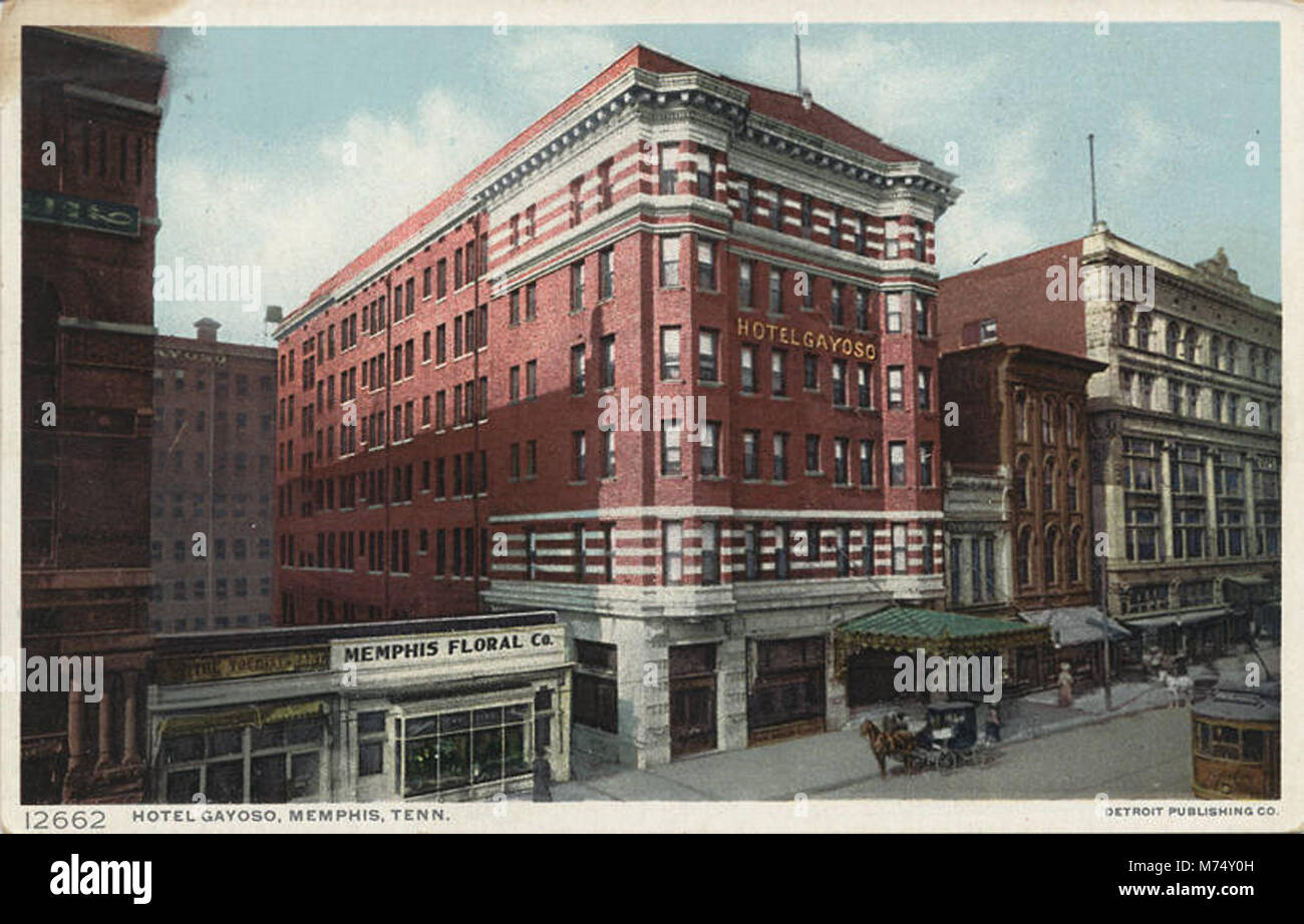 Gayoso hi-res stock photography and images - Alamy