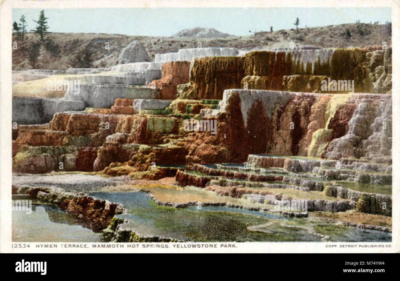 Hymen Terrace at Mammoth Hot Springs in Yellowstone National Park is a ...