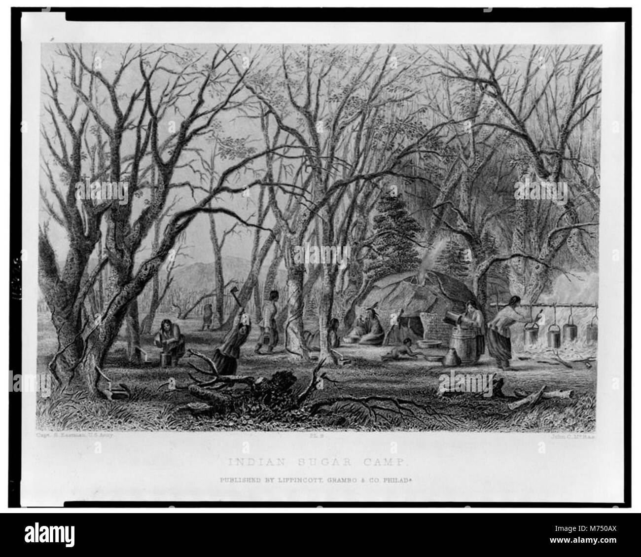 Indian maple camp hi-res stock photography and images - Alamy