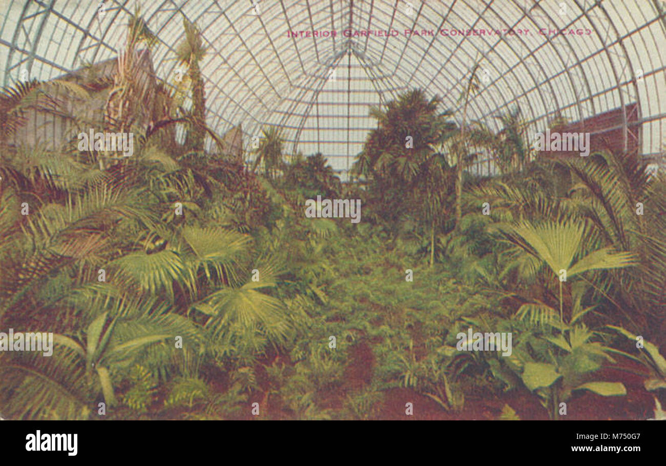 An interior view of the Garfield Park Conservatory in Chicago ...