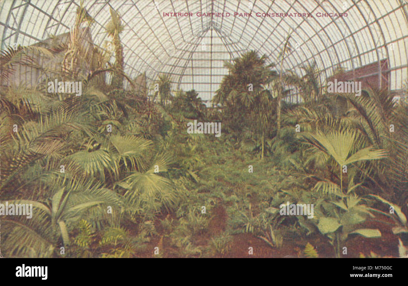 An interior view of the Garfield Park Conservatory in Chicago ...