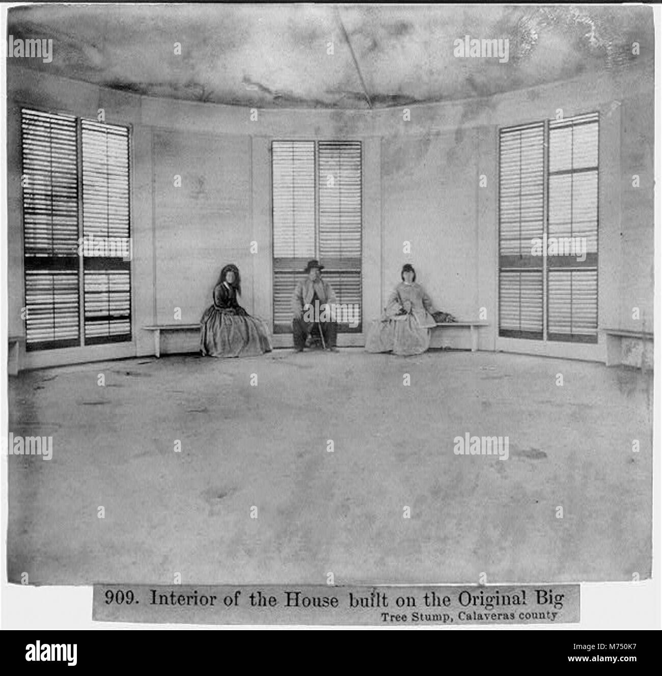 The interior of a house built on the original big tree stump in ...