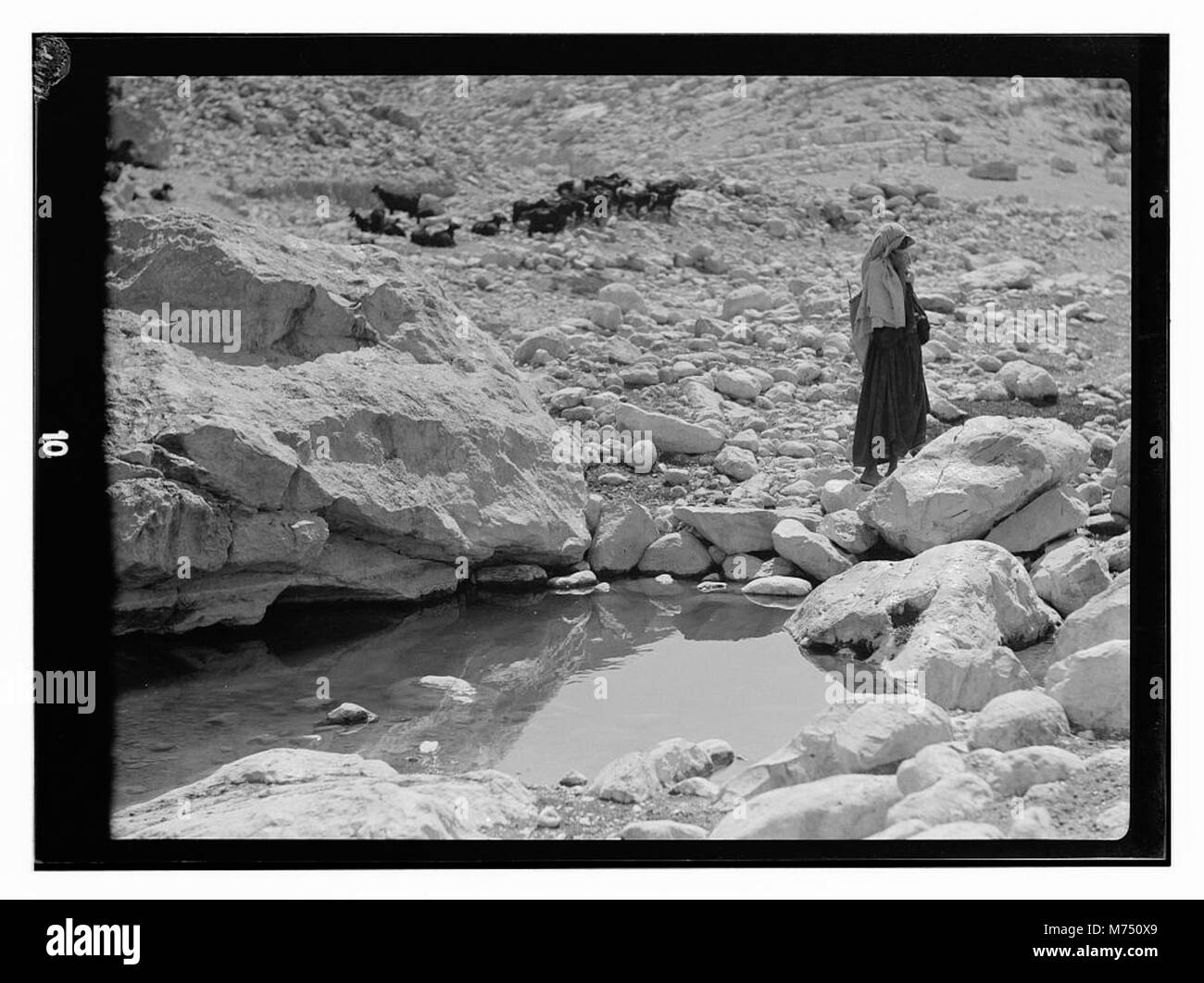 This photograph shows a scene from the Sinai region, capturing the ...
