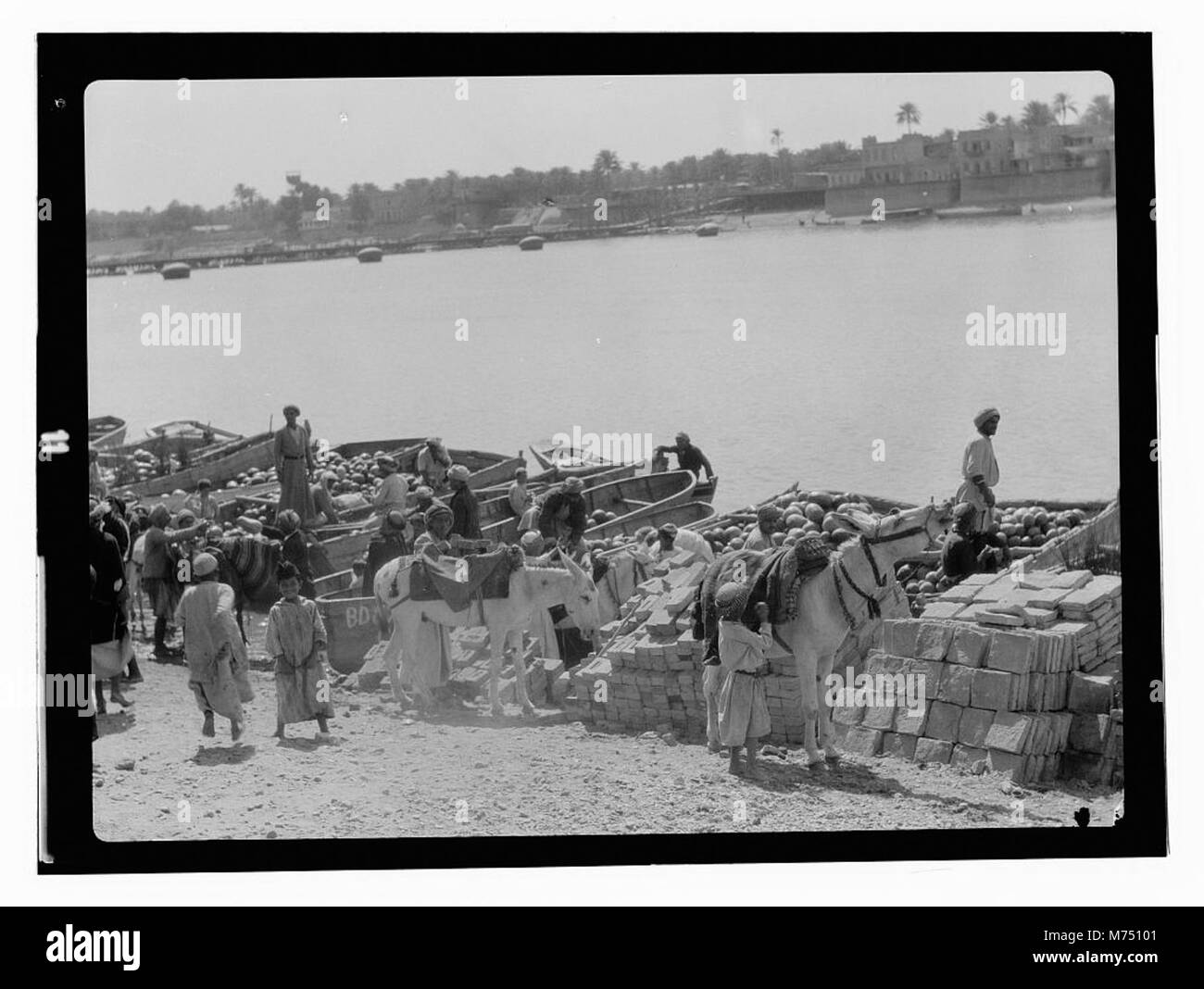 Iraq based Cut Out Stock Images & Pictures - Alamy