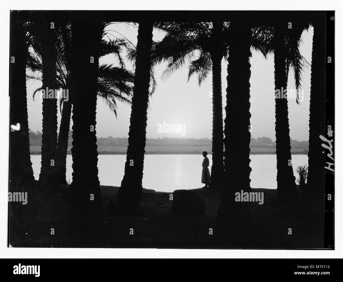 A scenic view from Hilla, Iraq, showing a figure near a river with palm ...