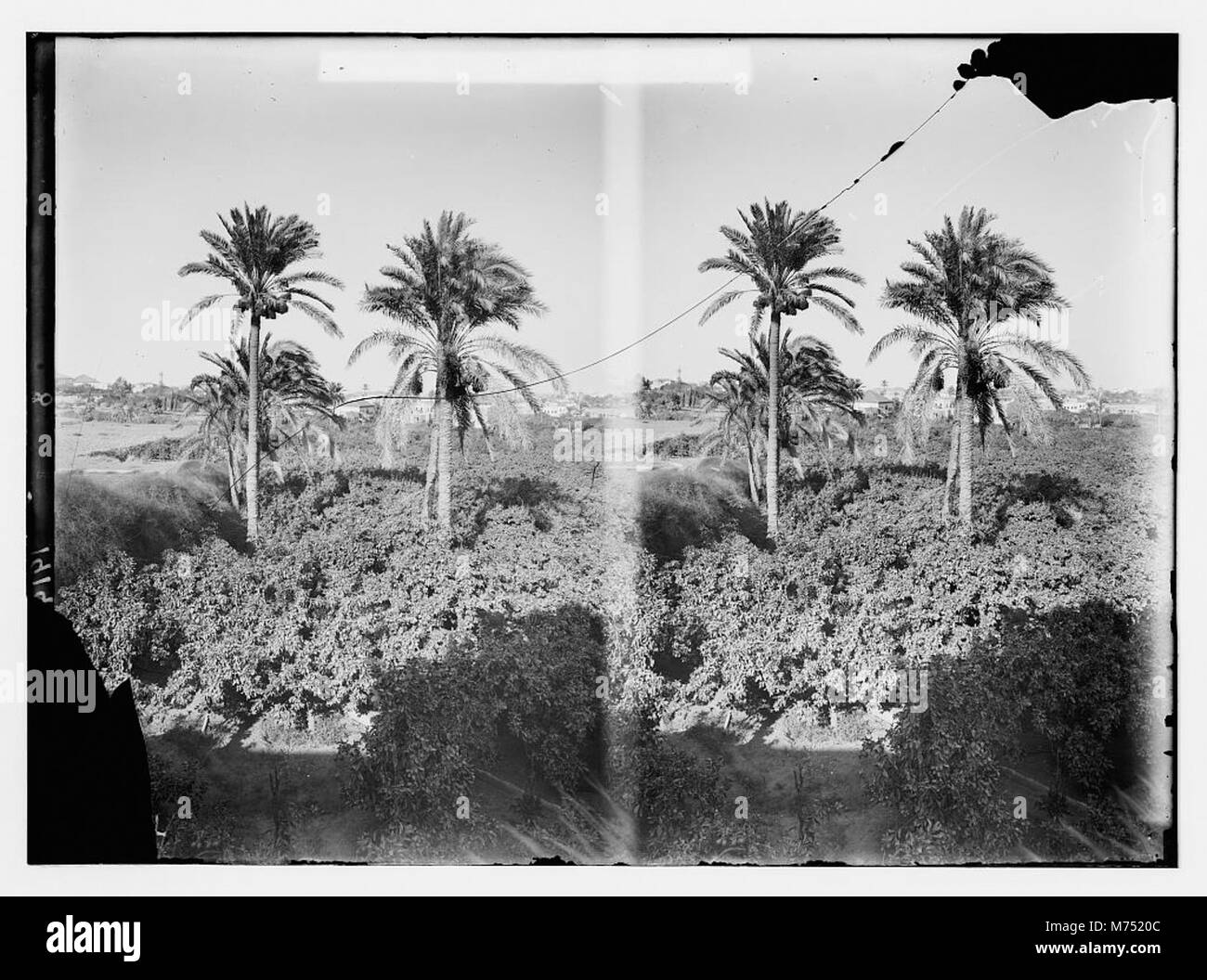 A photograph showing the landscape of Jaffa (Joppa), Israel, featuring ...