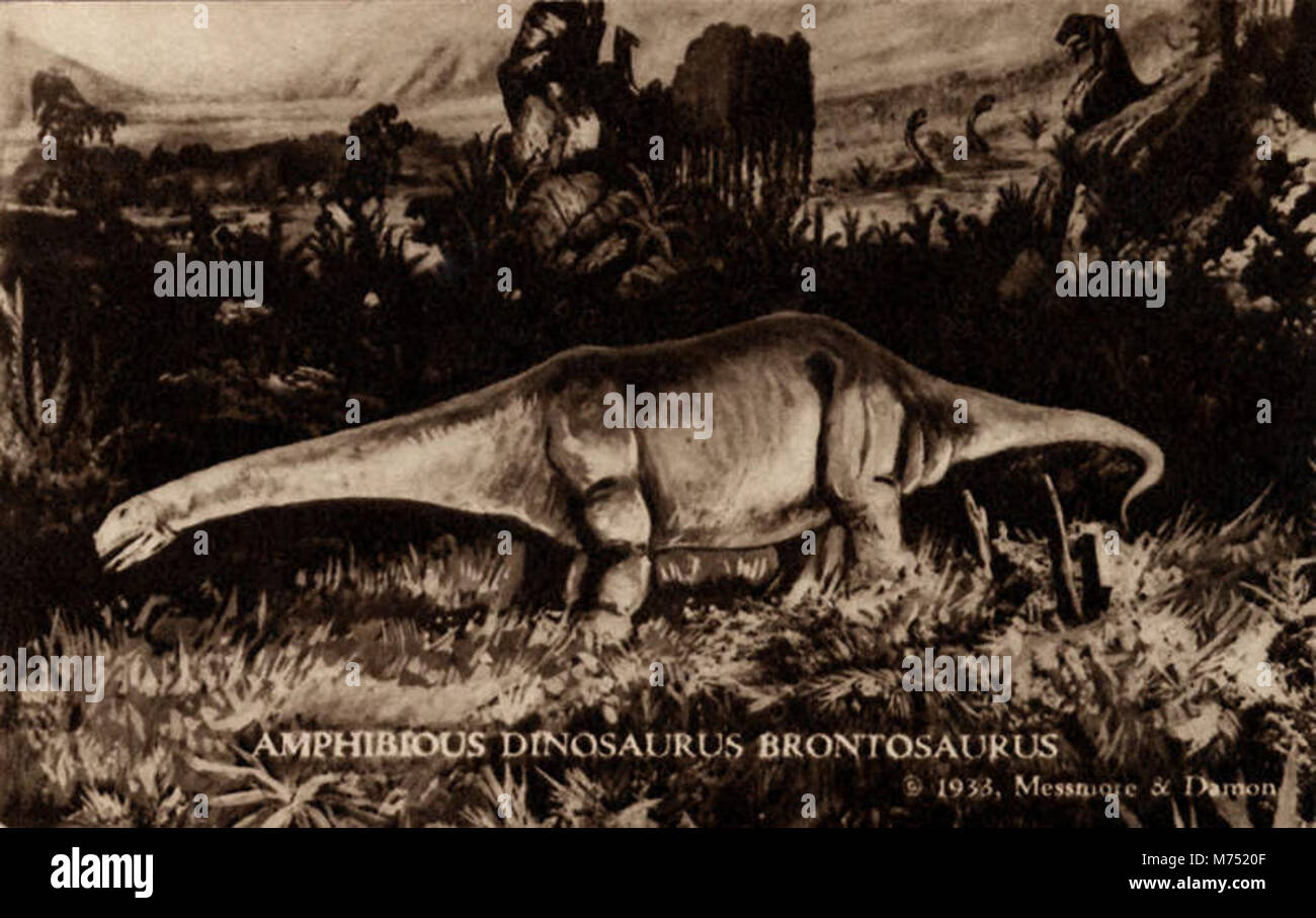 Amphibious Dinosaurus Brontosaurus (NBY 415365 Stock Photo - Alamy