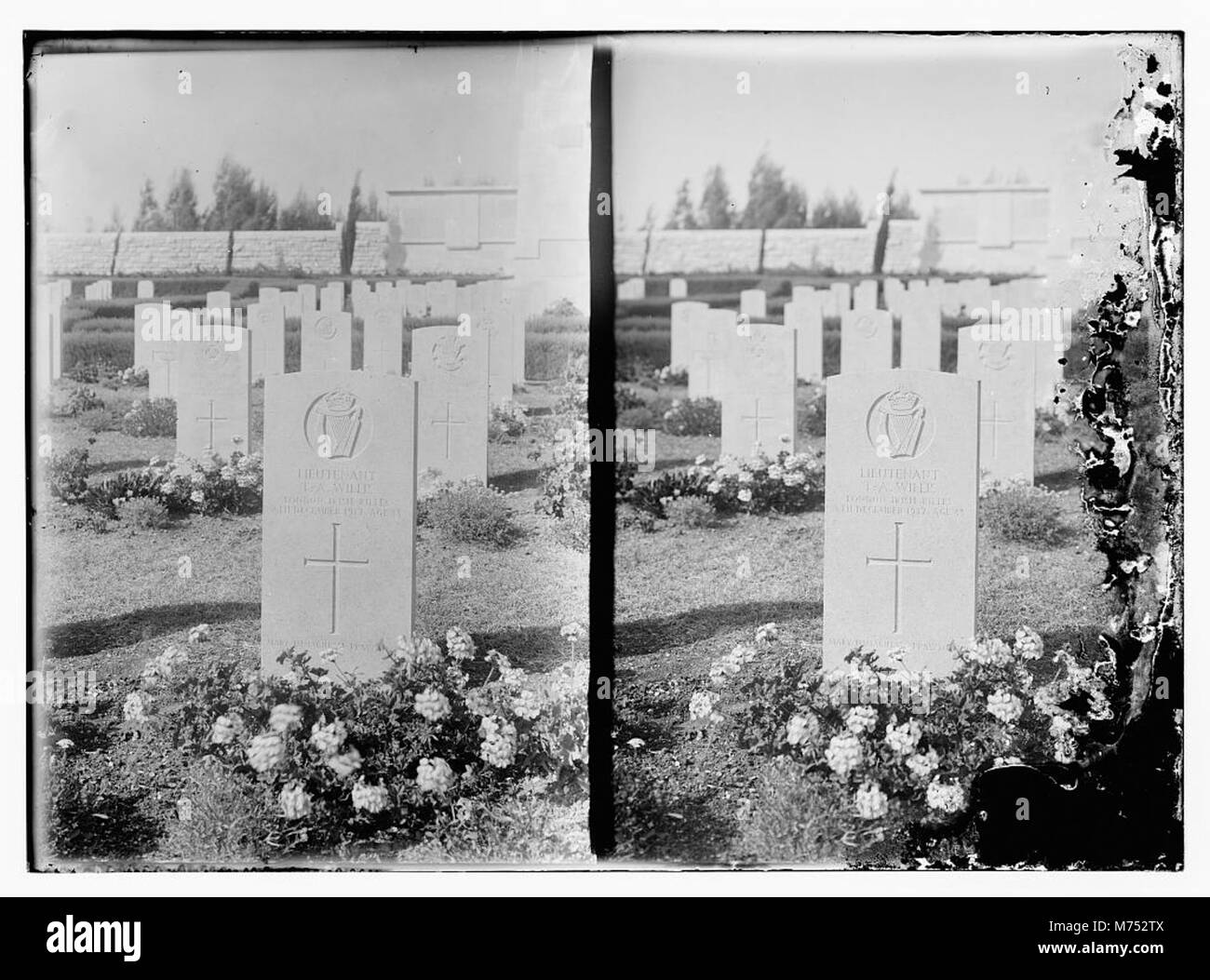 A photograph of the Jerusalem war cemetery, a site honoring soldiers ...
