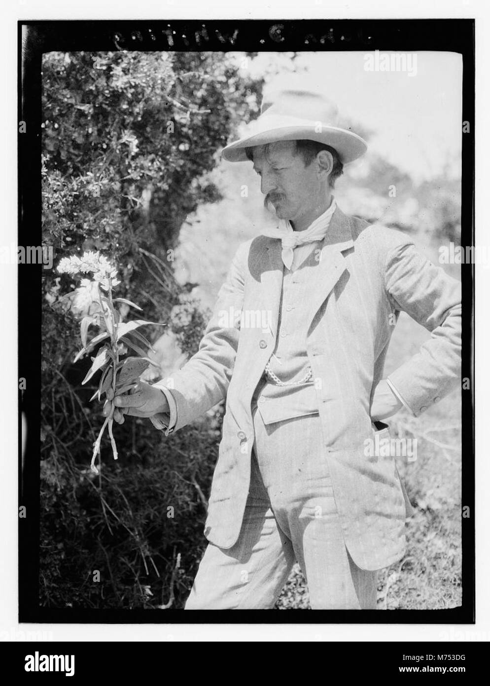 This portrait of John D. Whiting captures an important figure in ...