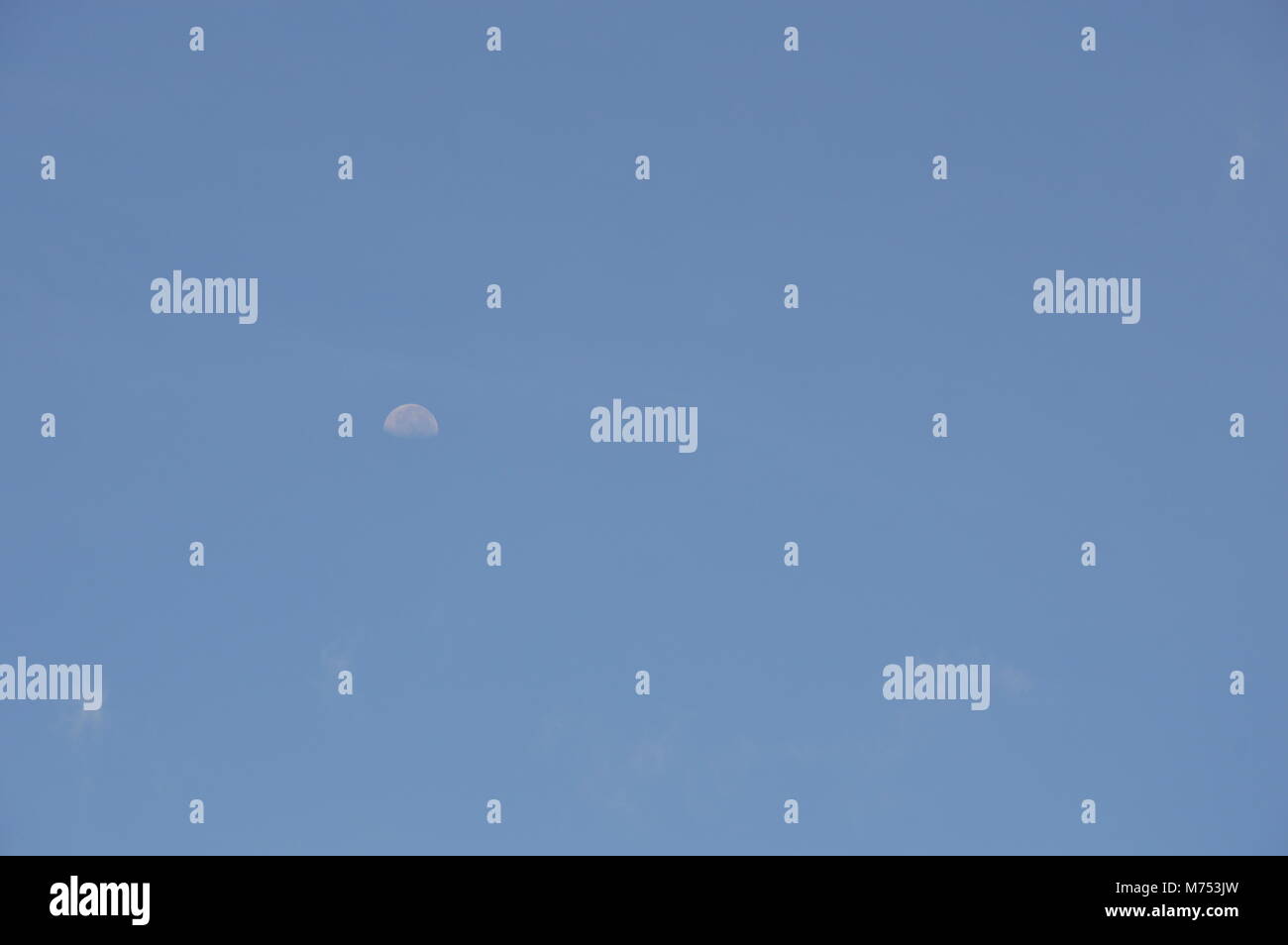 moon on sky in the morning Stock Photo - Alamy
