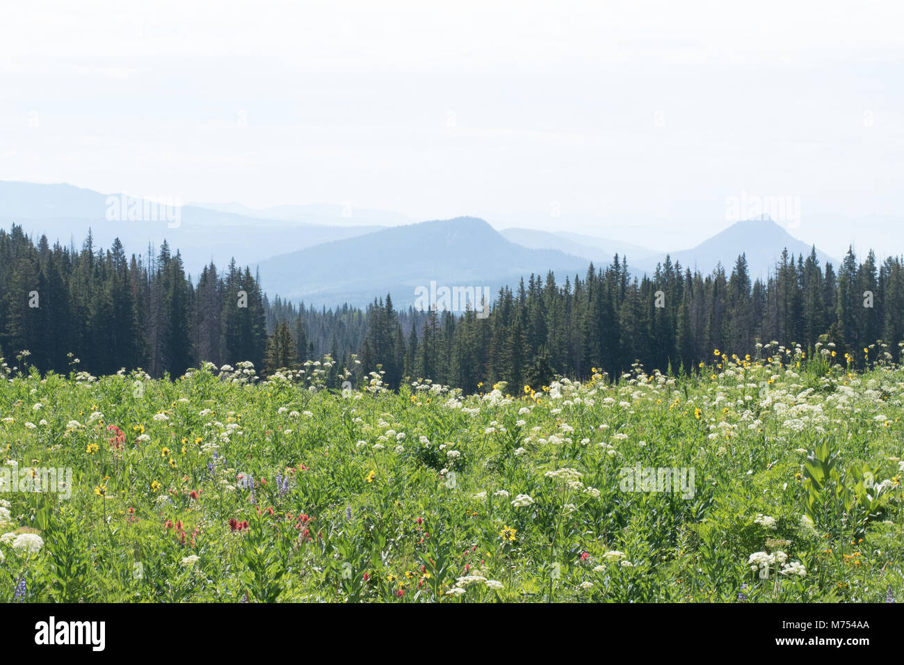 Motivation mountain hi-res stock photography and images - Alamy