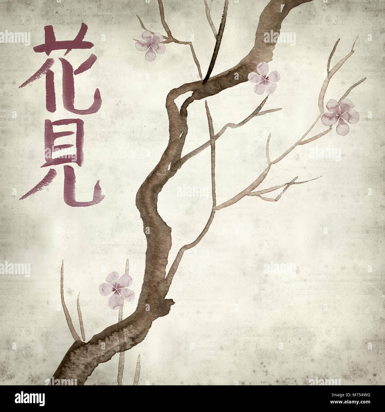 textured old paper background with japanese callygraphy Hanami - flower ...
