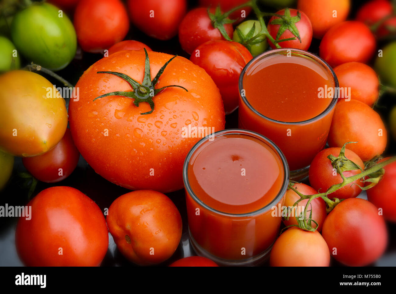 super beautiful fresh colorful tomato from nature farm Stock Photo - Alamy