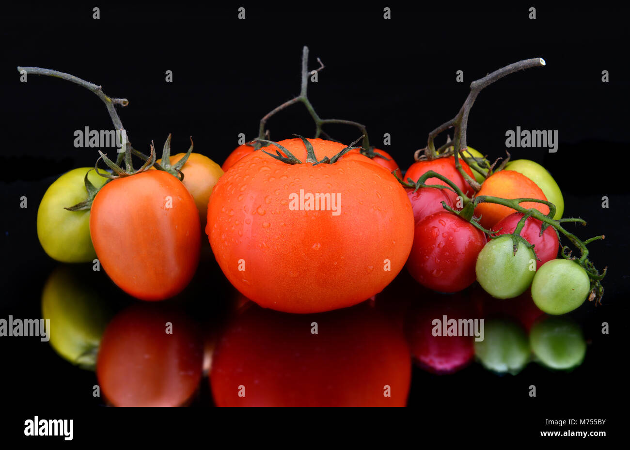 super beautiful fresh colorful tomato from nature farm Stock Photo - Alamy