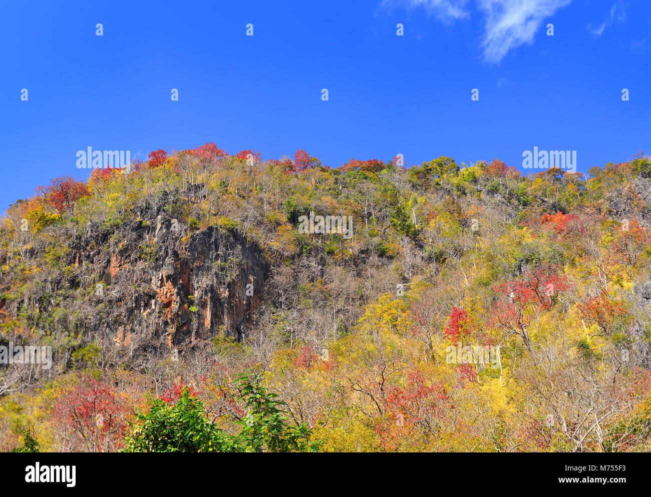colorful from time season change of nature color Stock Photo - Alamy