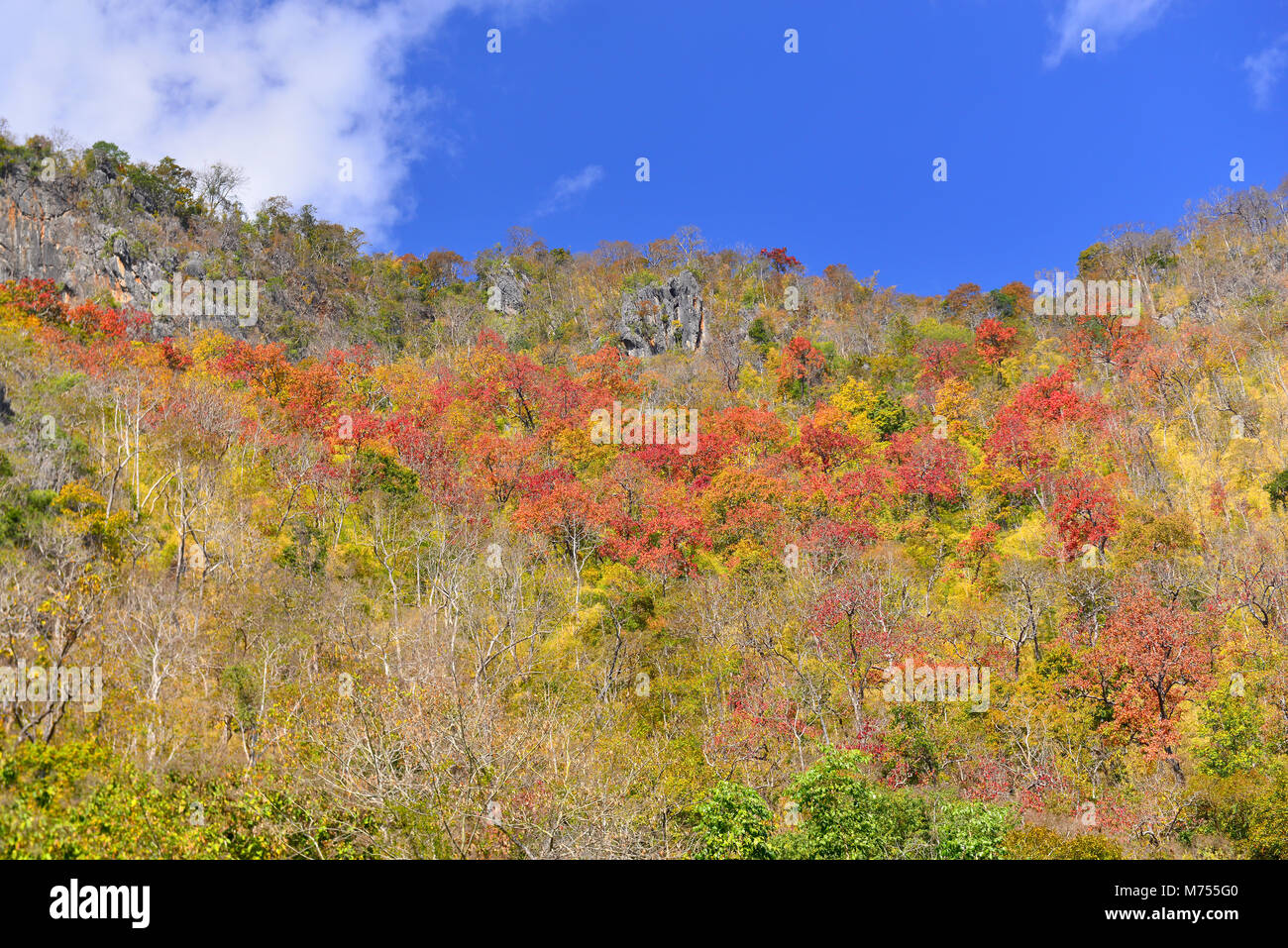 Season change hi-res stock photography and images - Alamy