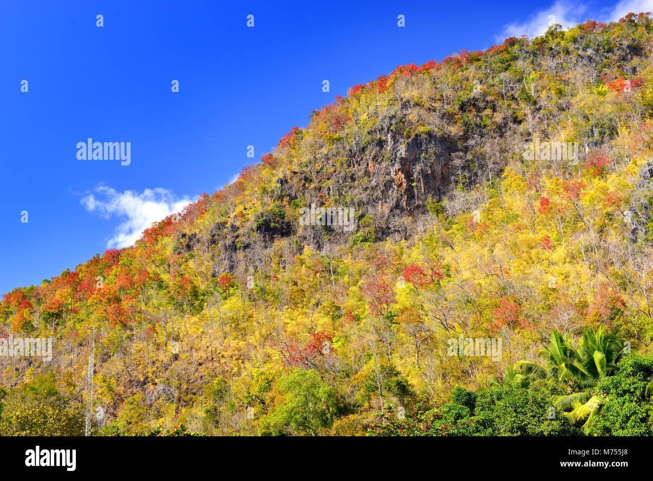 Season change hi-res stock photography and images - Alamy
