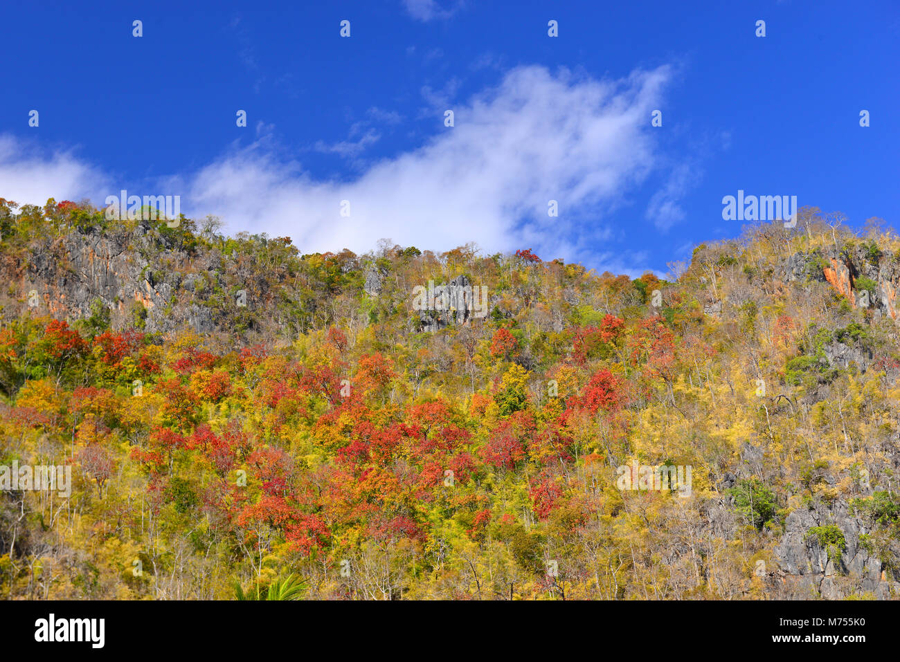 Season change hi-res stock photography and images - Alamy