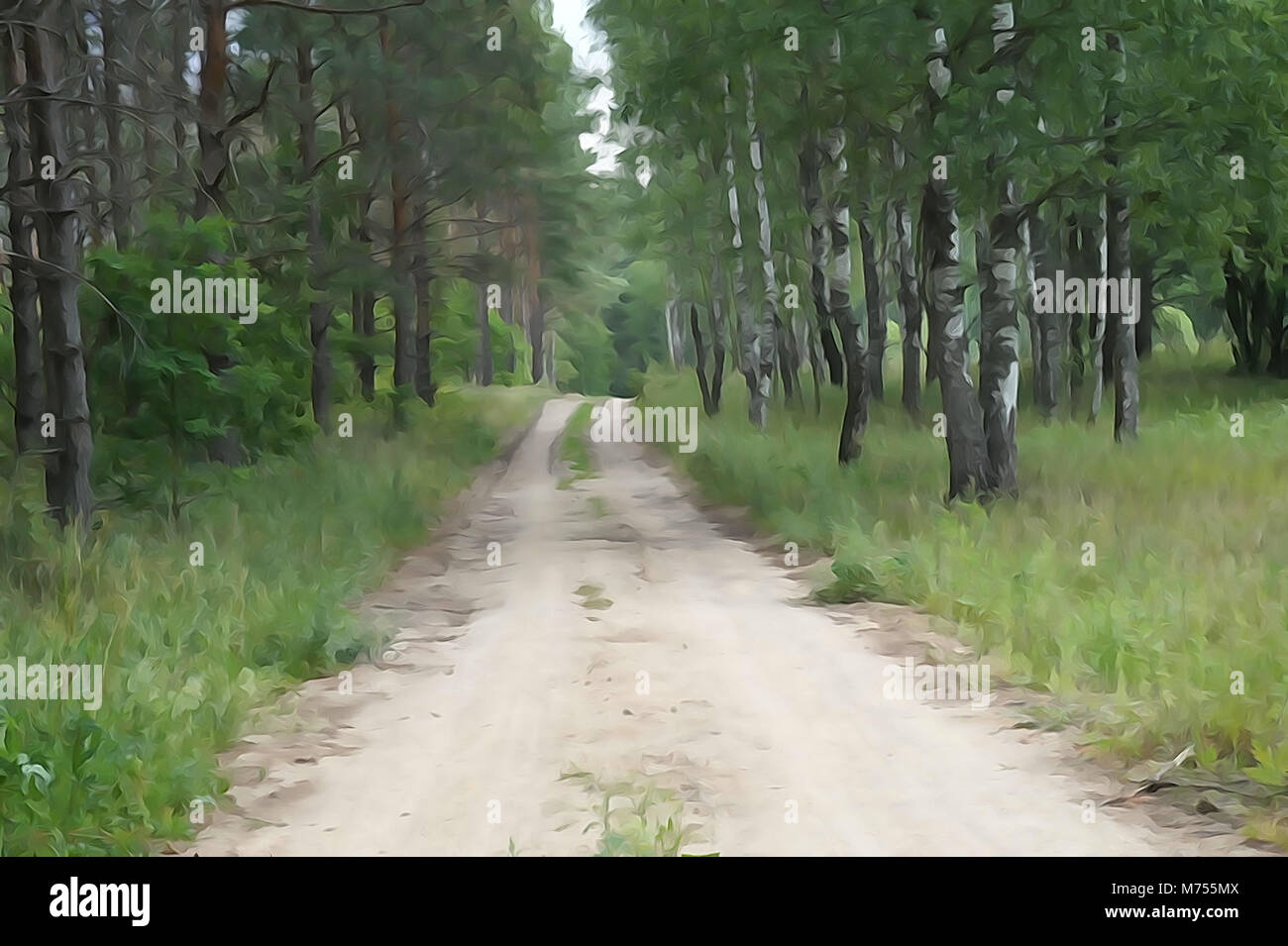 Countryside rural forest road summer landscape summer Stock Photo - Alamy