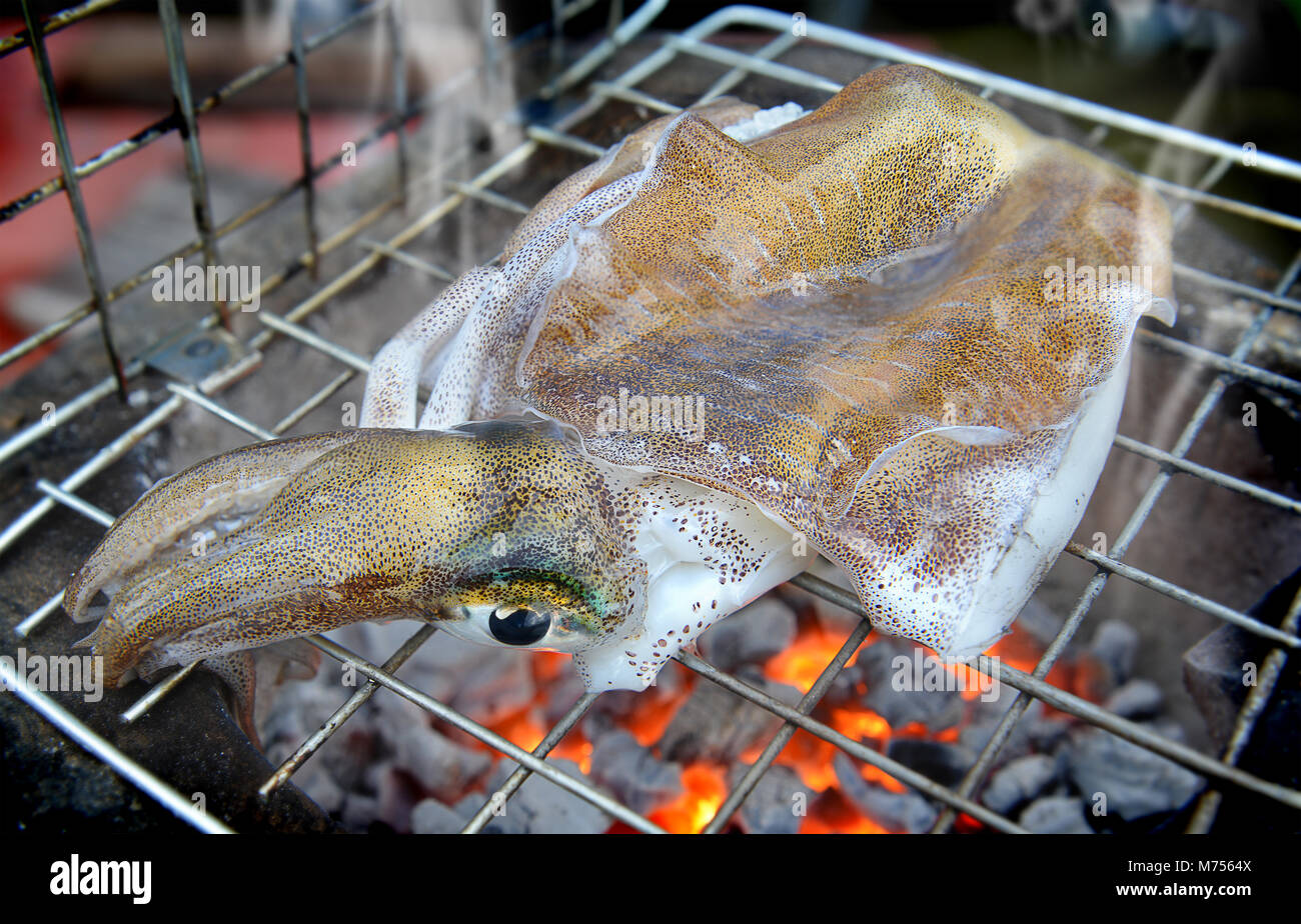 Fresh soft cuttle fish from fishery market in Thailand grill on the ...