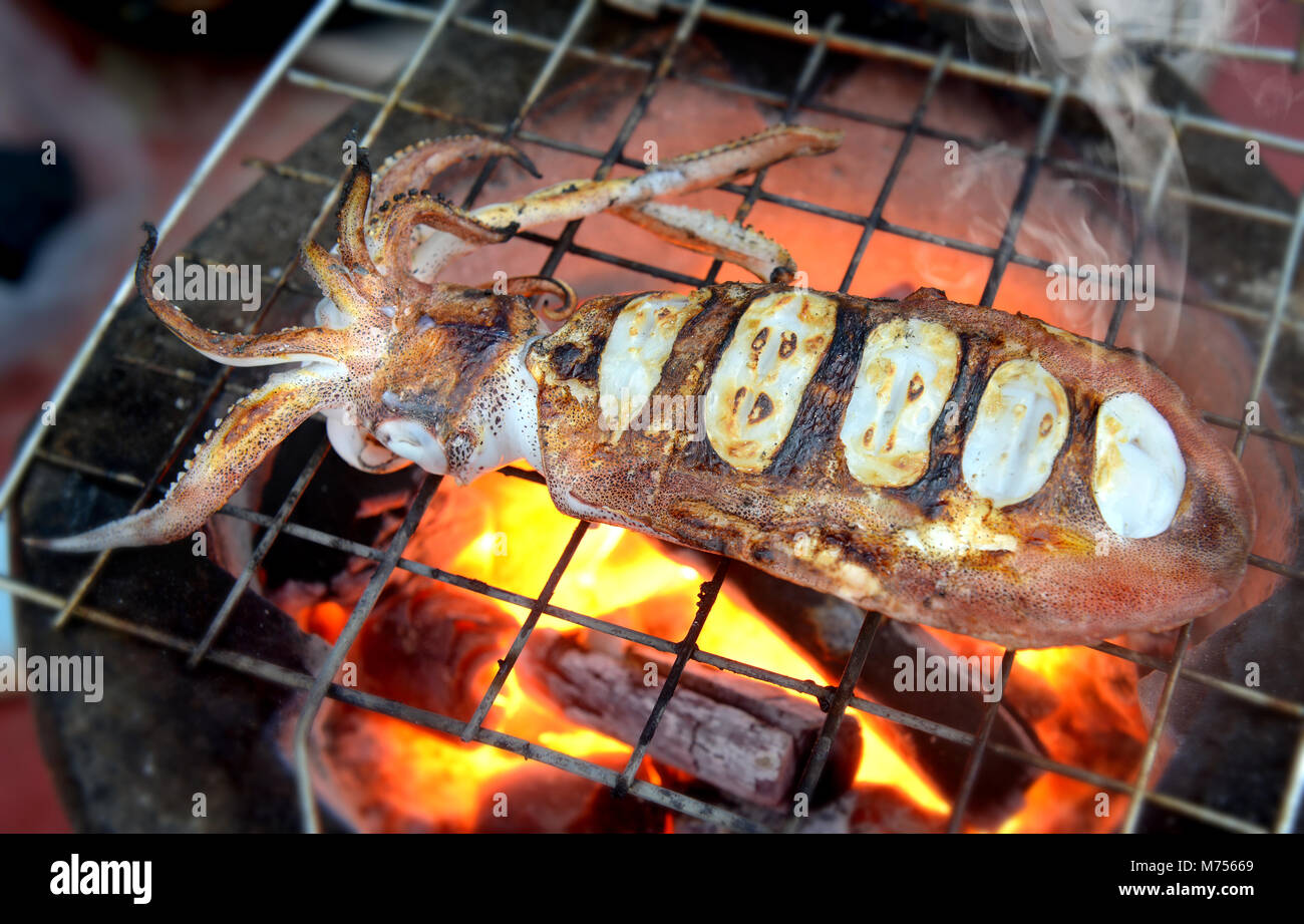 Fresh soft cuttle fish from fishery market in Thailand grill on the ...