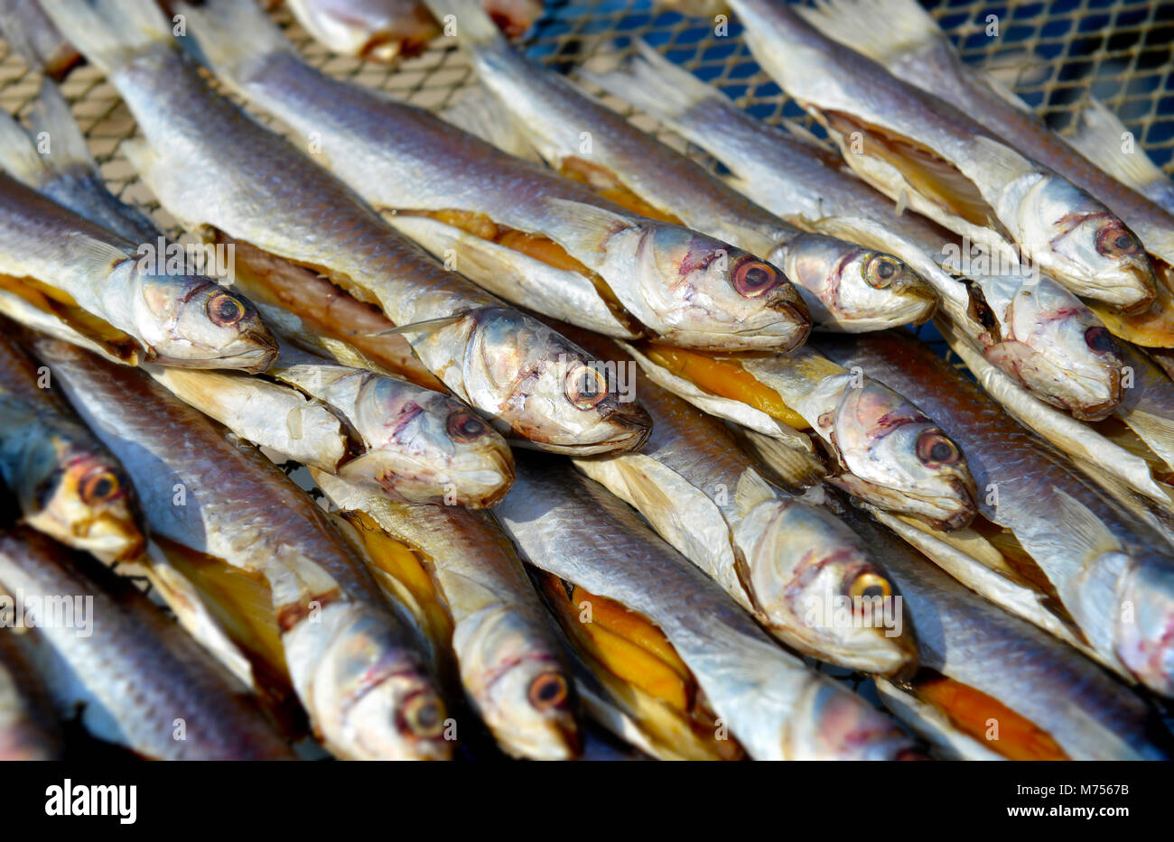dry mullet fish in sunlight for sale at the fishery market and the one ...