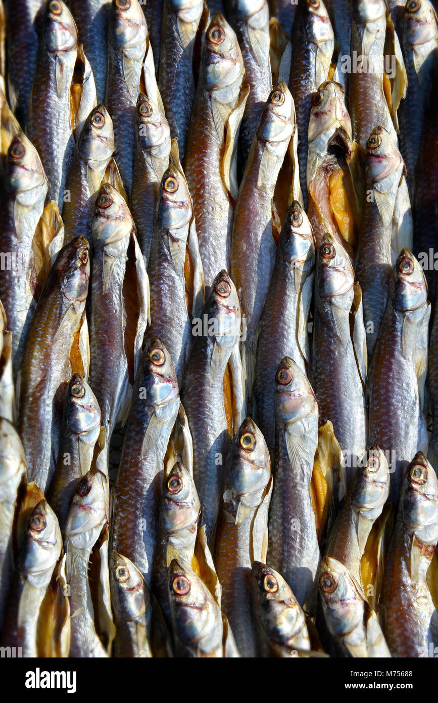 Mullet eggs hi-res stock photography and images - Alamy
