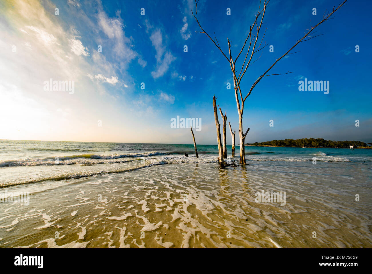 Longboat key florida hi-res stock photography and images - Alamy