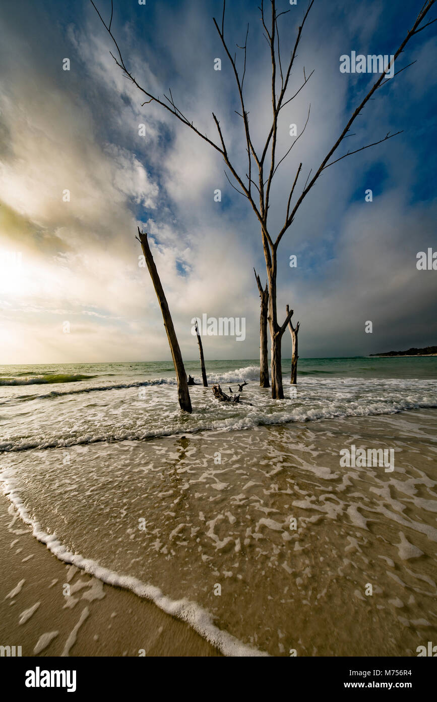 Longboat Key High Resolution Stock Photography and Images - Alamy