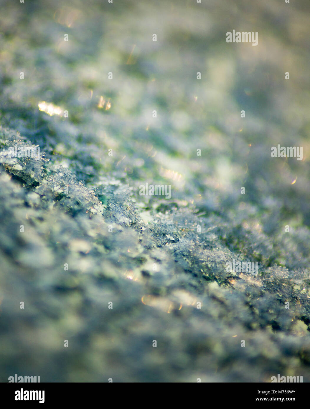 Closeup of a Snowflakes on a Car Windshield - texture with selective ...