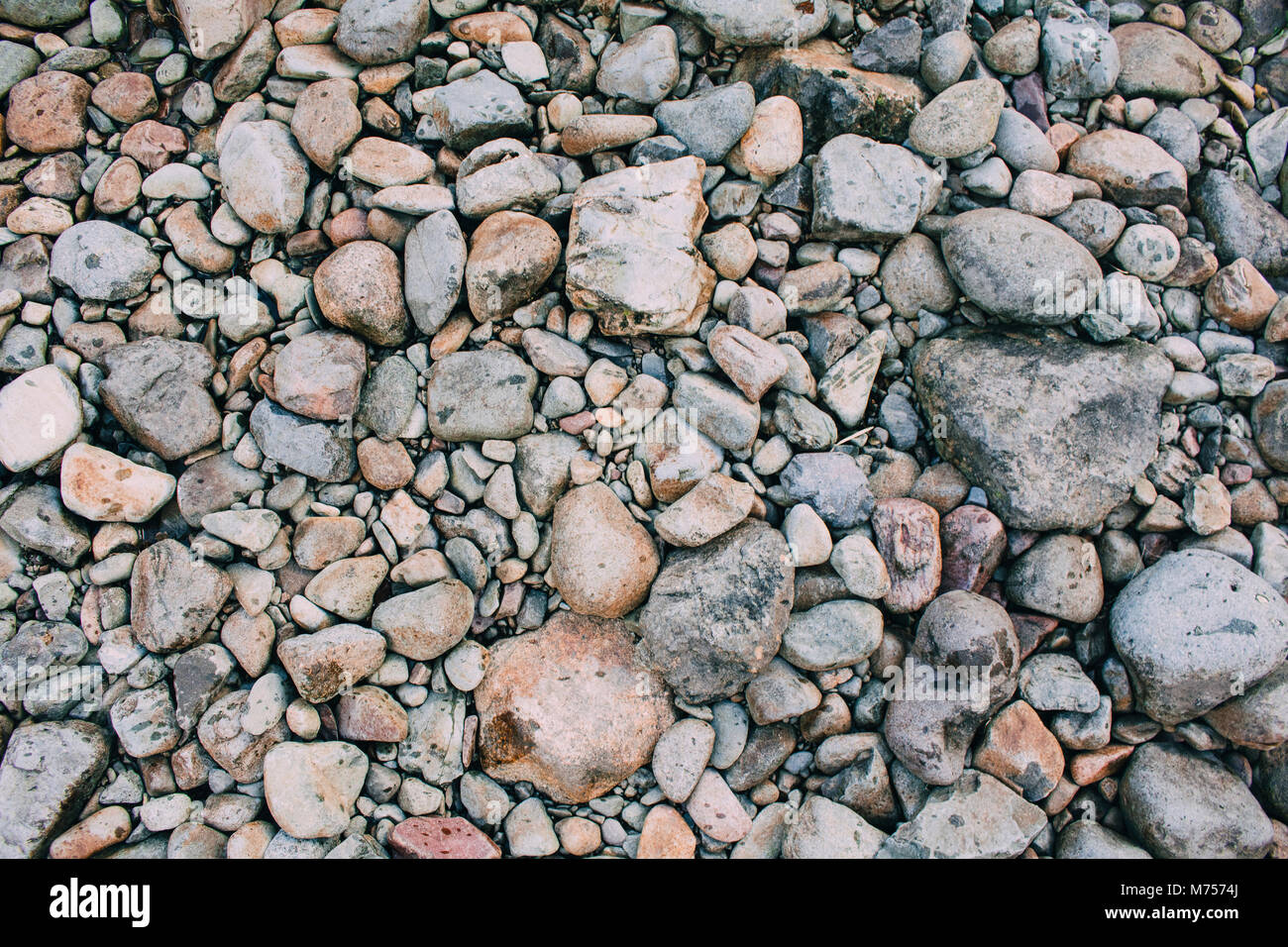 Pebbles stones and rocks on the beach Stock Photo - Alamy