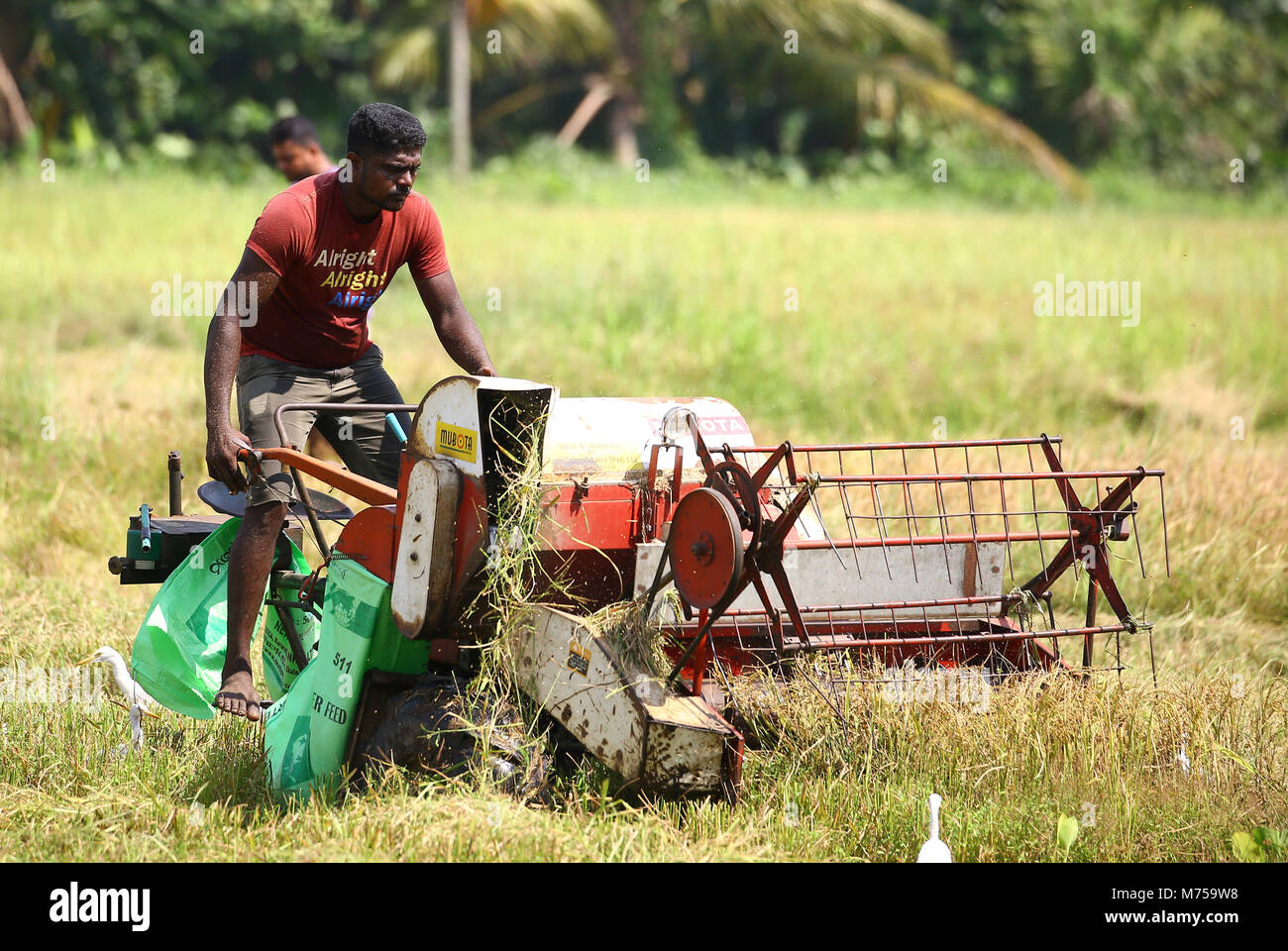 Kaduwela Sri Lanka 22nd Feb 2018 A Combine Harvester At The Paddy