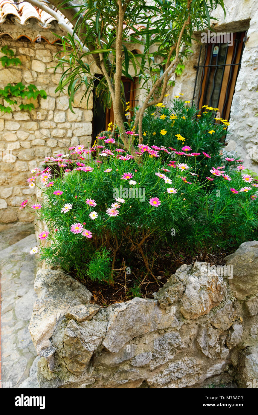 Riviera of flowers hi-res stock photography and images - Alamy