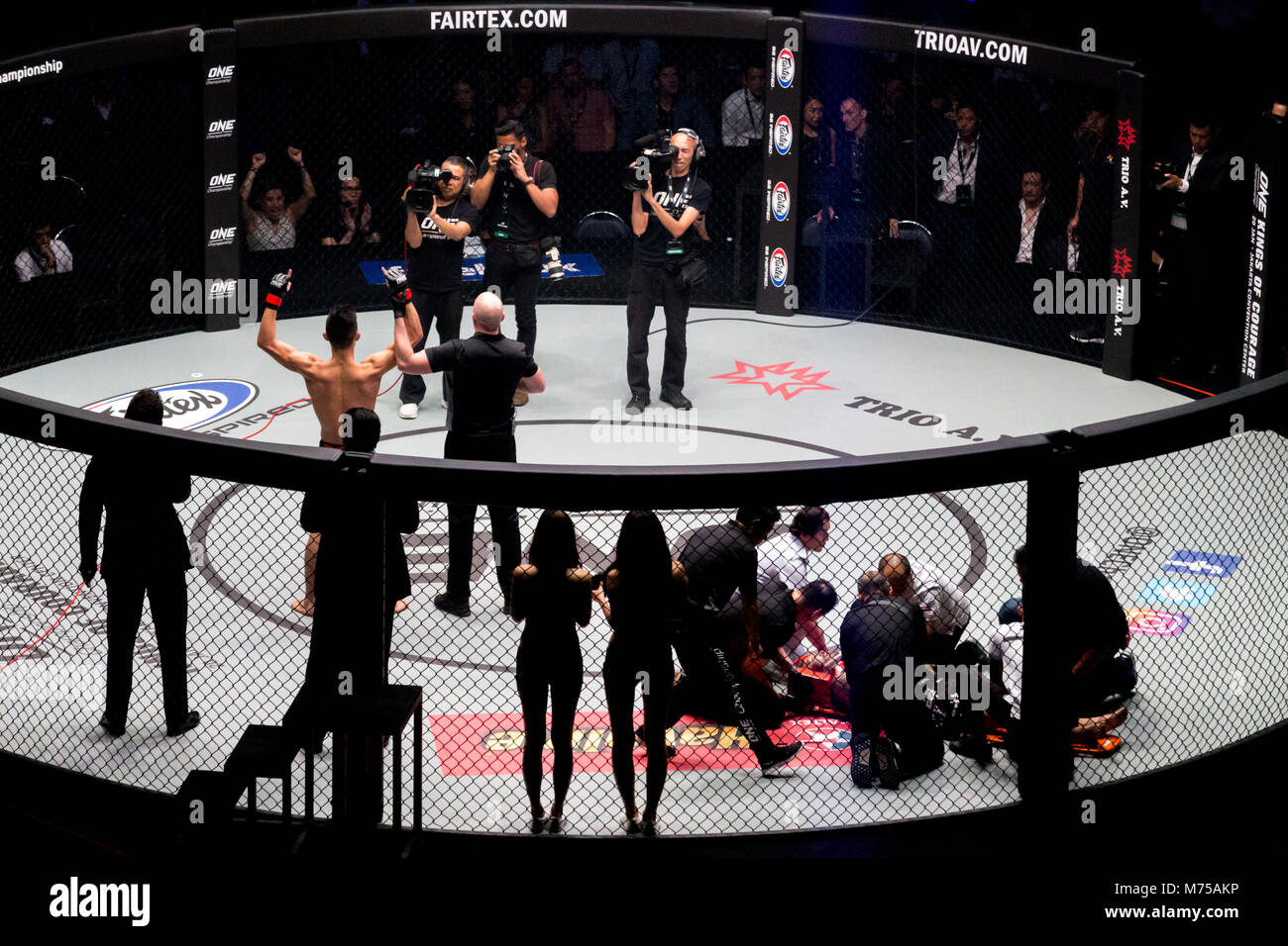 Cage fighting hi-res stock photography and images - Alamy
