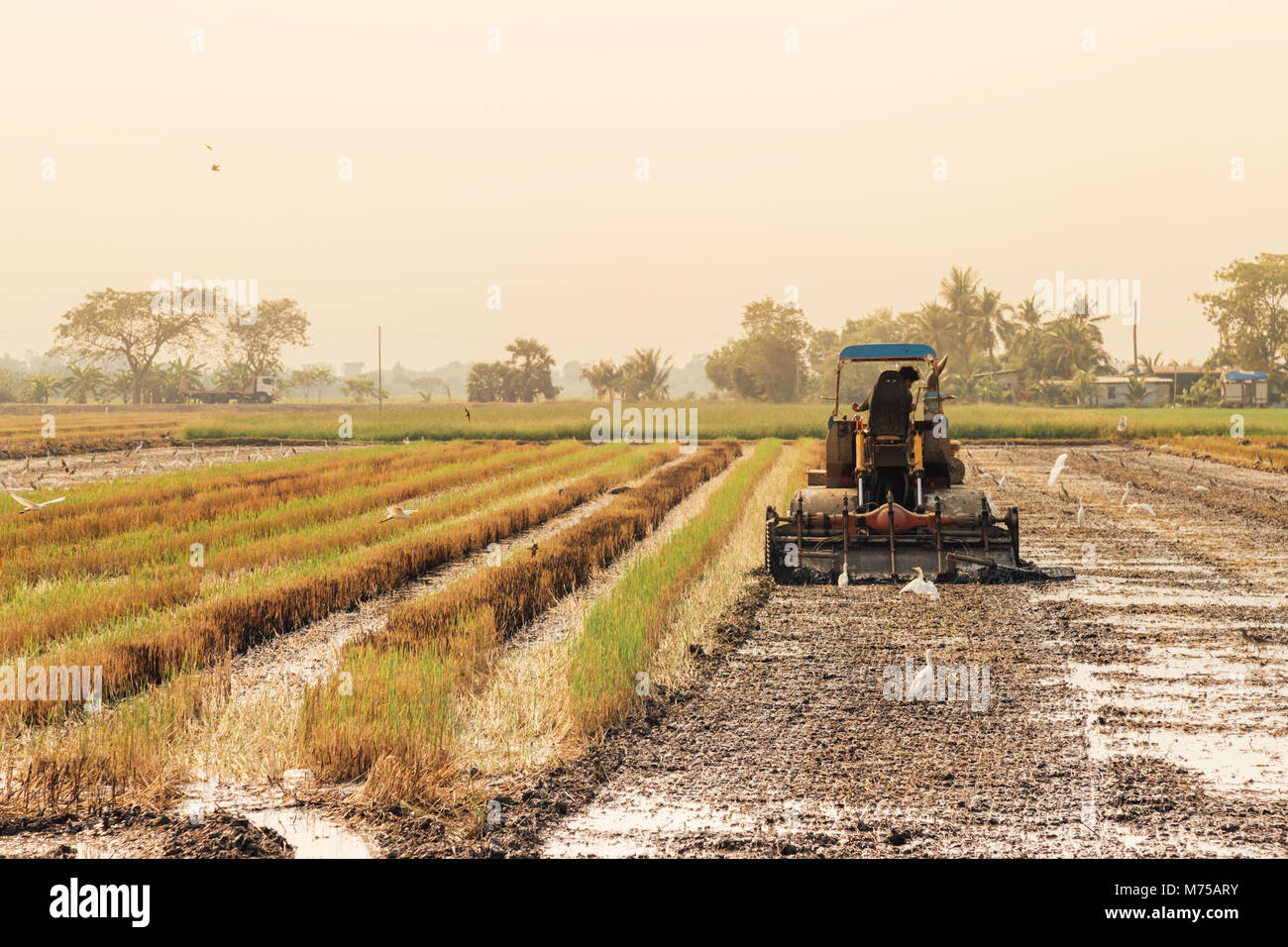 Vietnam farm vehicle hi-res stock photography and images - Alamy