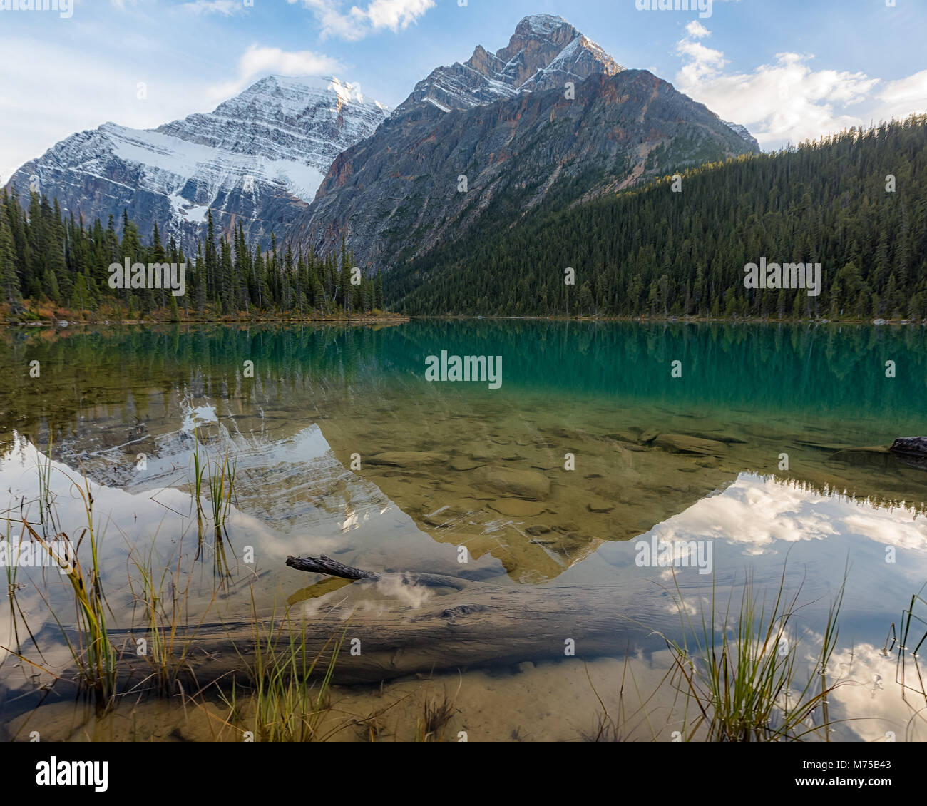 Dark Brown Jasper High Resolution Stock Photography and Images - Alamy