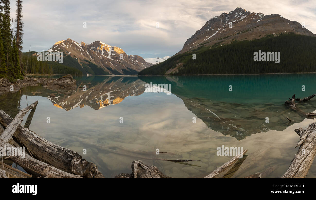 Peyto Lake shoreline alpine glow at sunset Stock Photo - Alamy
