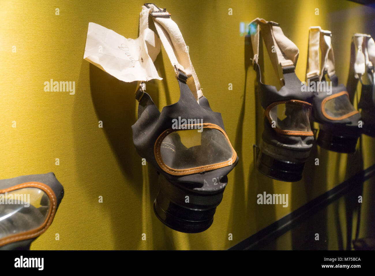 World war ii gas mask hi-res stock photography and images - Alamy