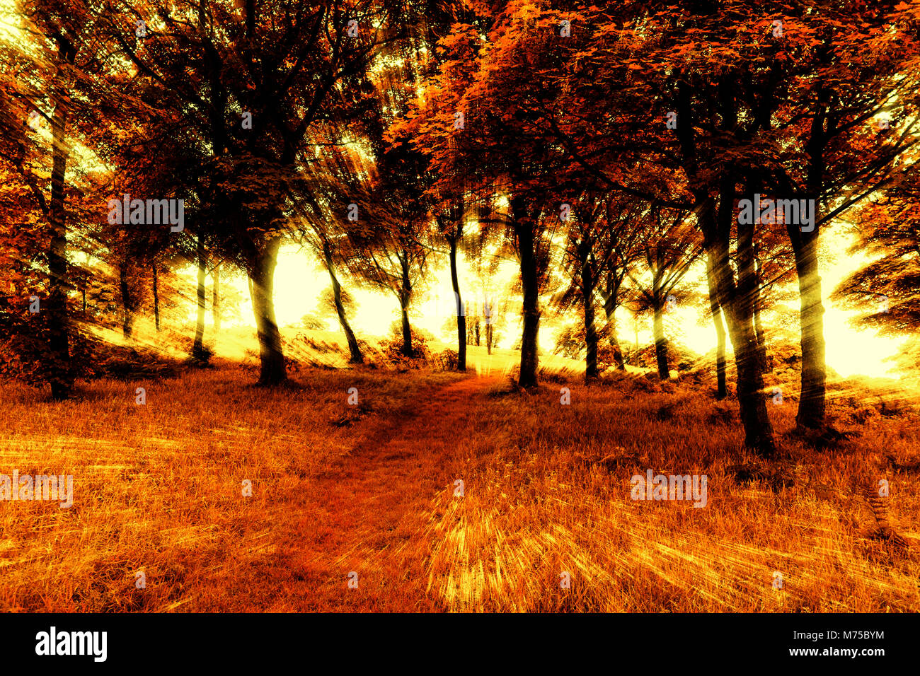 Twechar village hi-res stock photography and images - Alamy