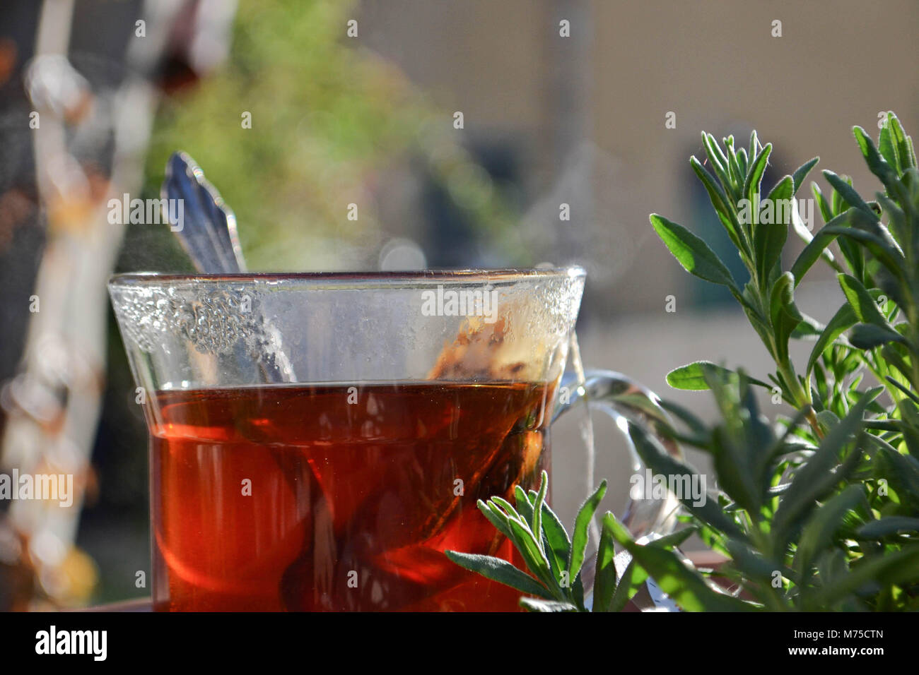 Hot warm tea in the tea cup whit spoon Stock Photo - Alamy