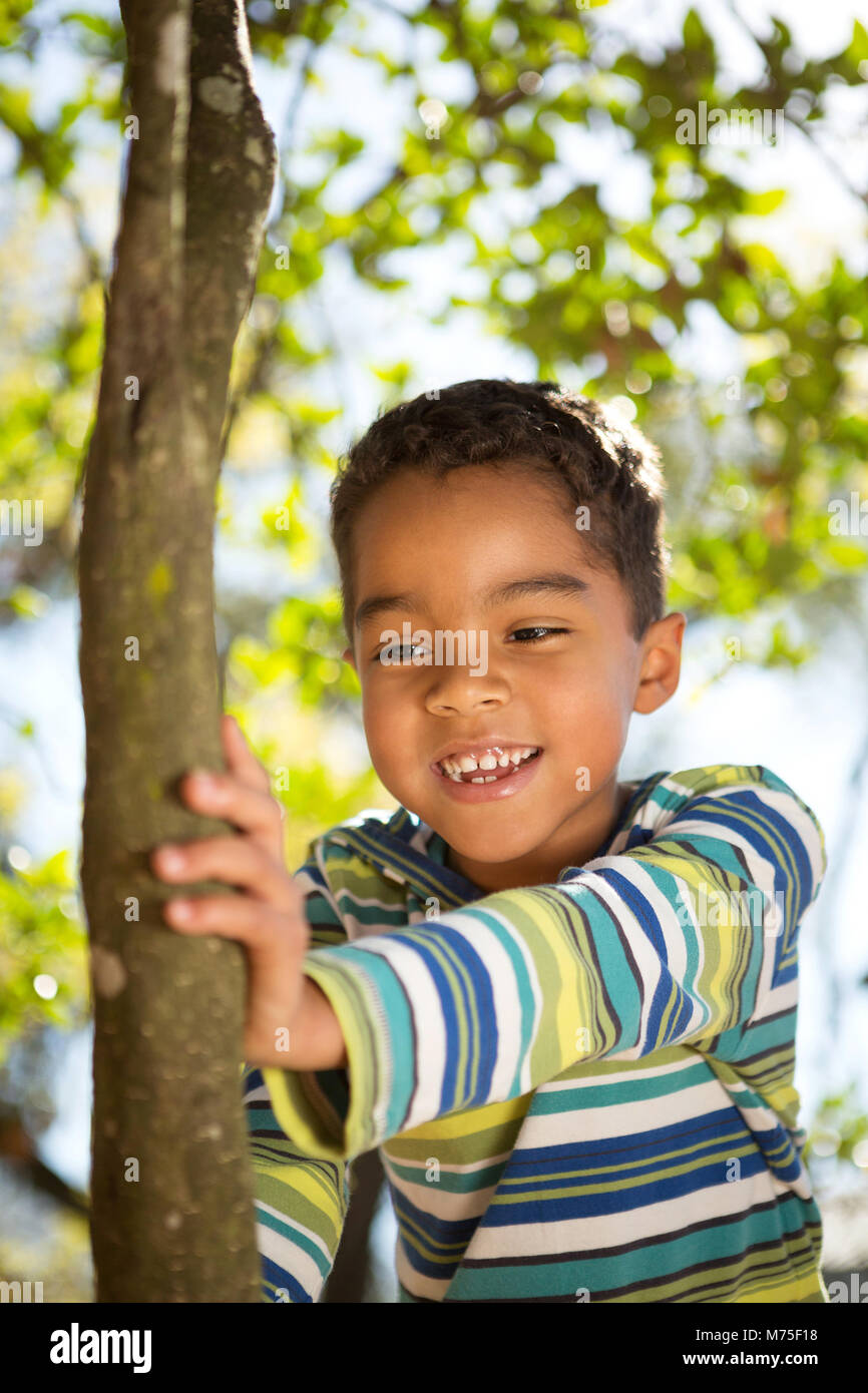 Little boy playing in a tree Stock Photo - Alamy