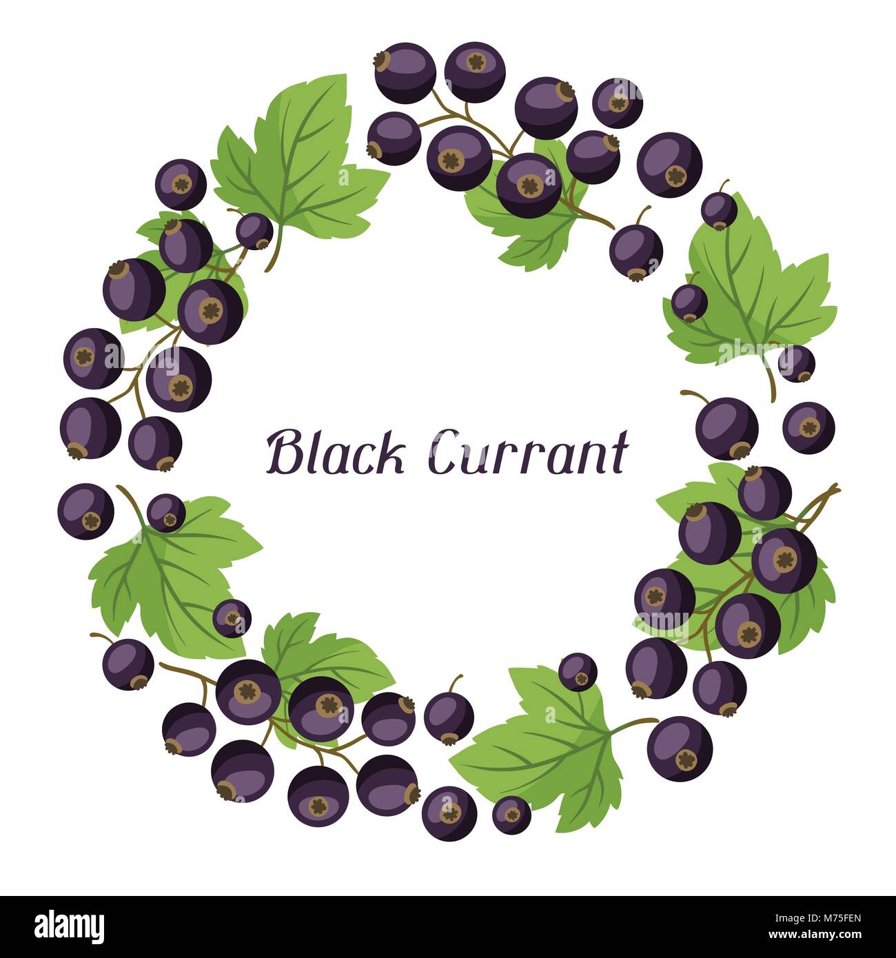 Nature background design with black currants Stock Vector Image & Art ...