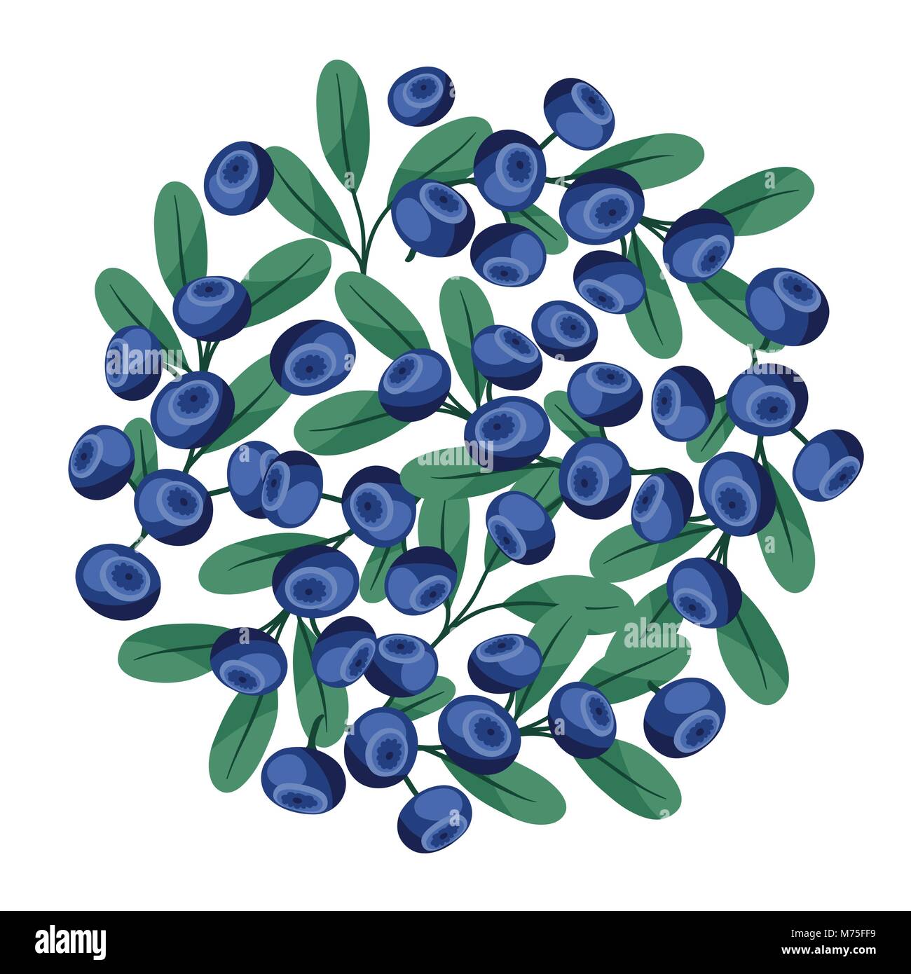 Whortleberry background Stock Vector Images - Alamy