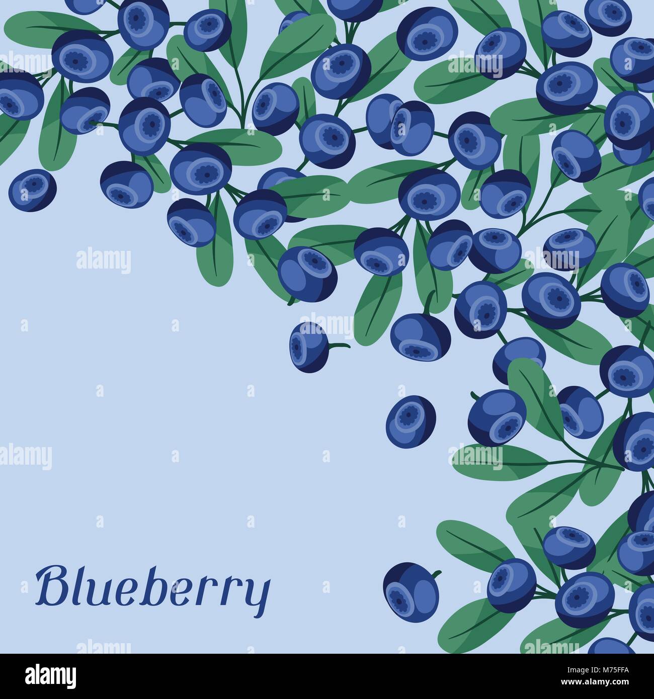 Whortleberry background Stock Vector Images - Alamy