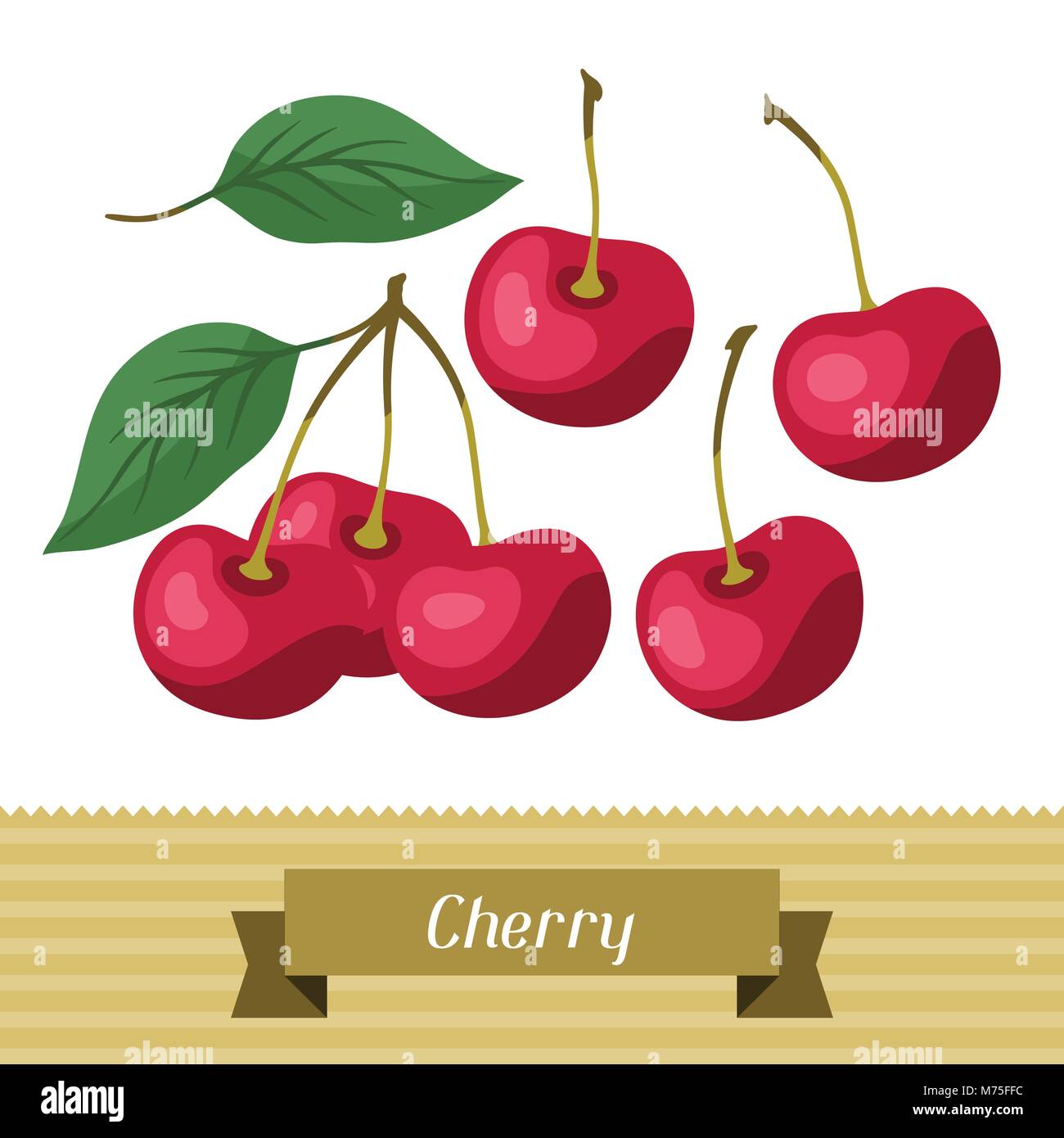 Set of various stylized cherries Stock Vector Image & Art - Alamy