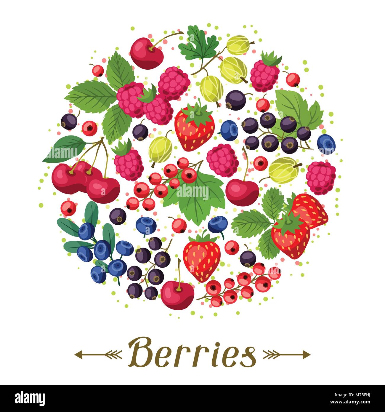 Nature background design with berries Stock Vector Image & Art - Alamy